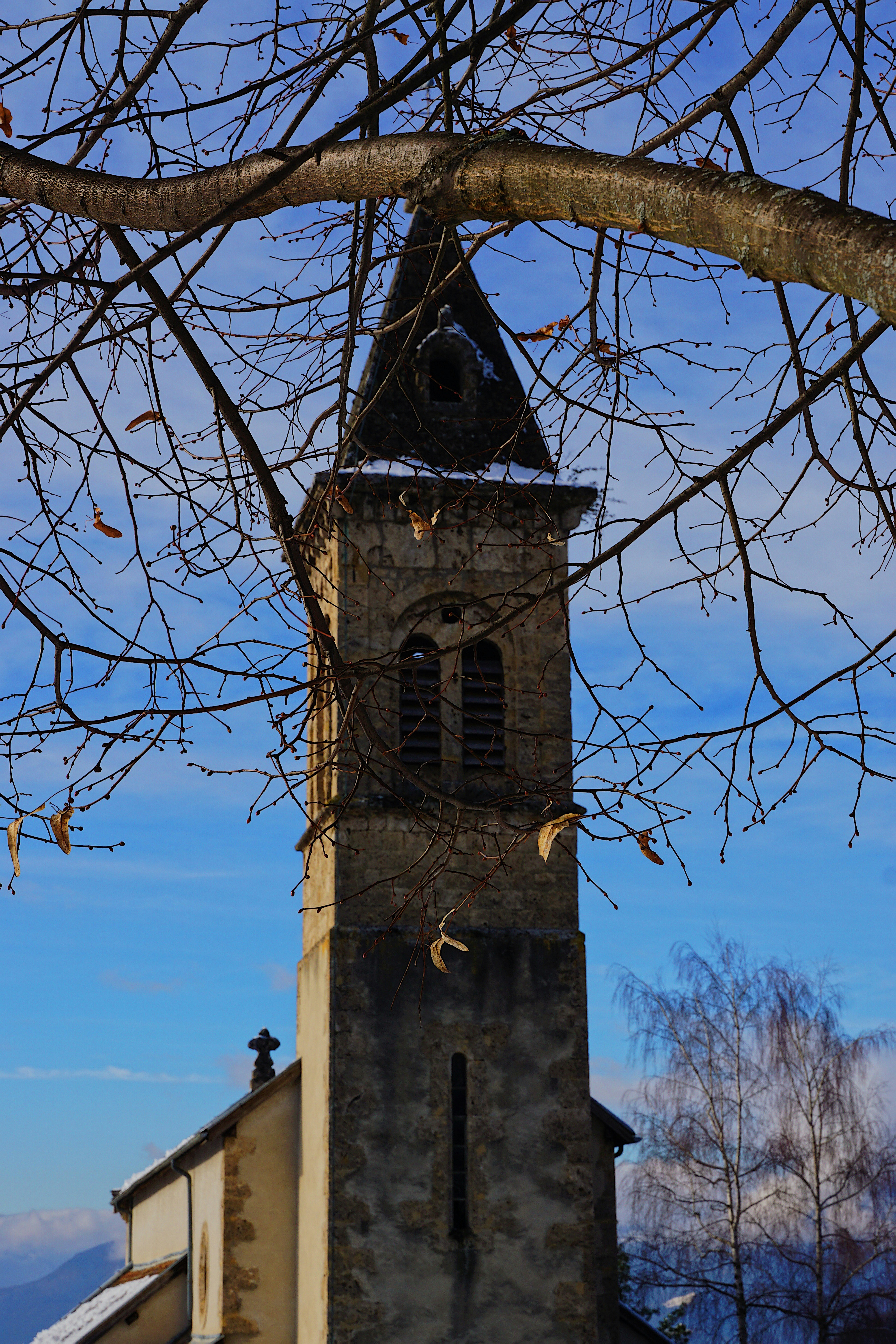 Historic church tower framed by bare branches against a serene winter sky.