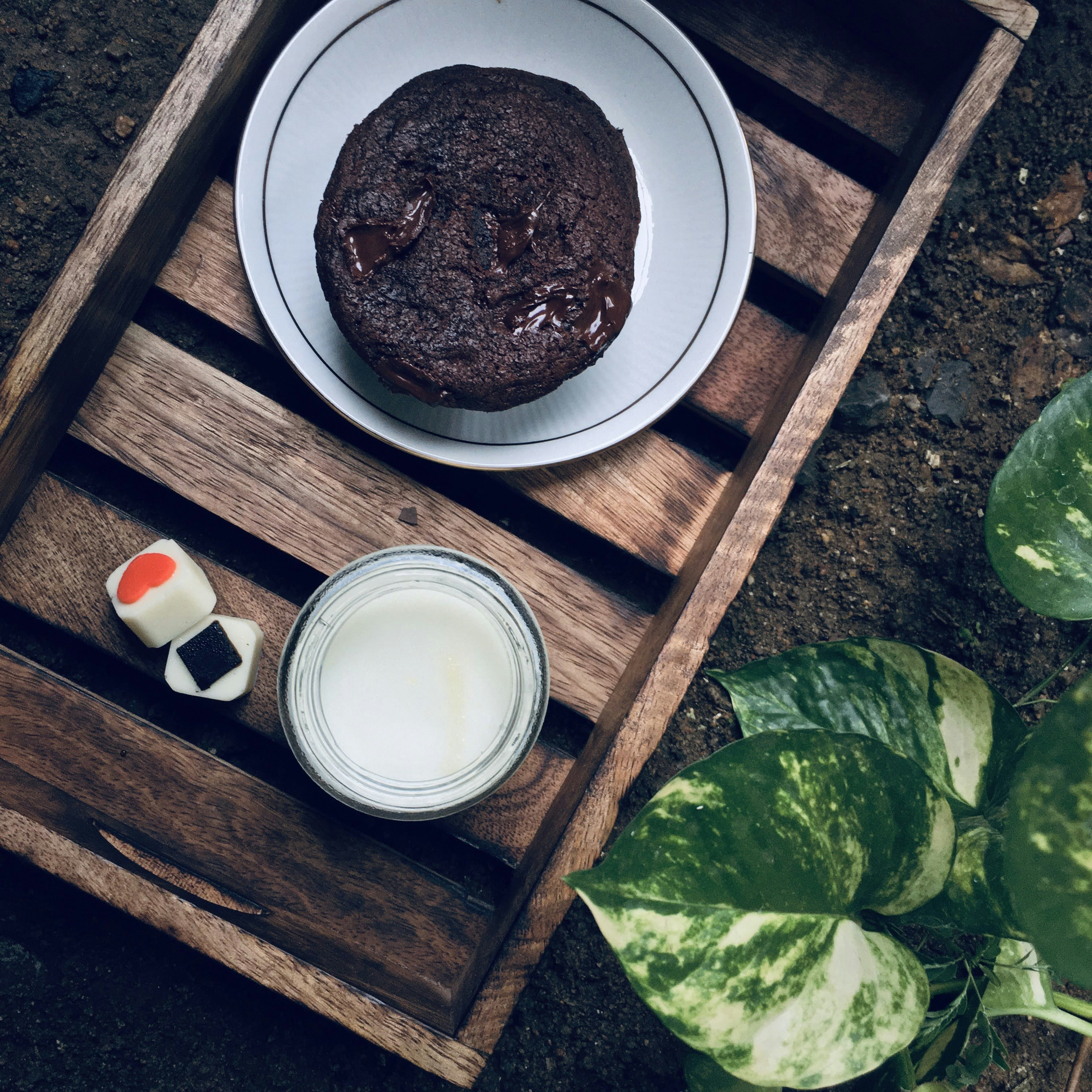 Earthy Delights: Chocolate Muffin on a Weathered Wood Tray Amid Greenery