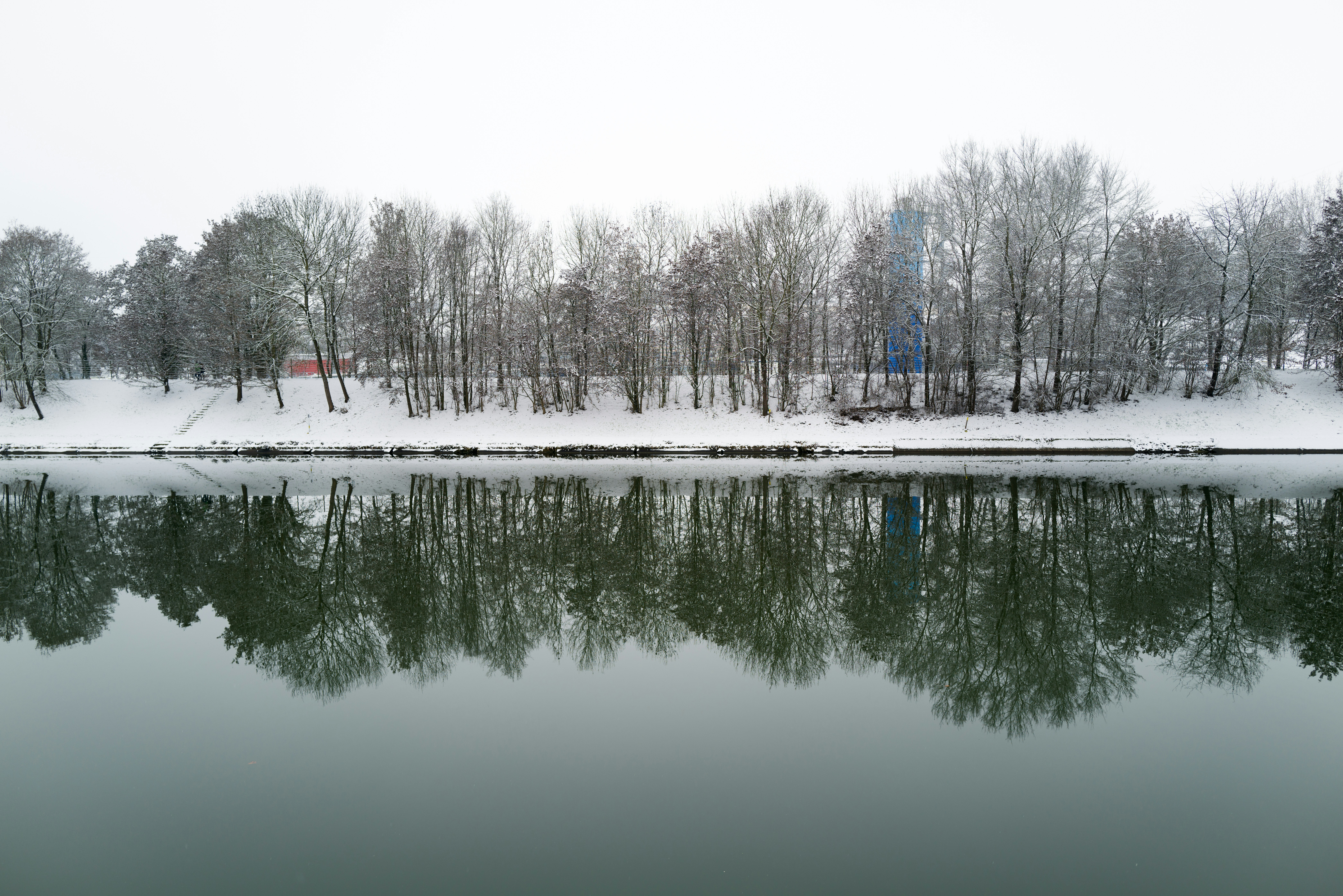 Winter's Quiet Mirror: Snow-Lined Trees Reflected on a Glassy Lake