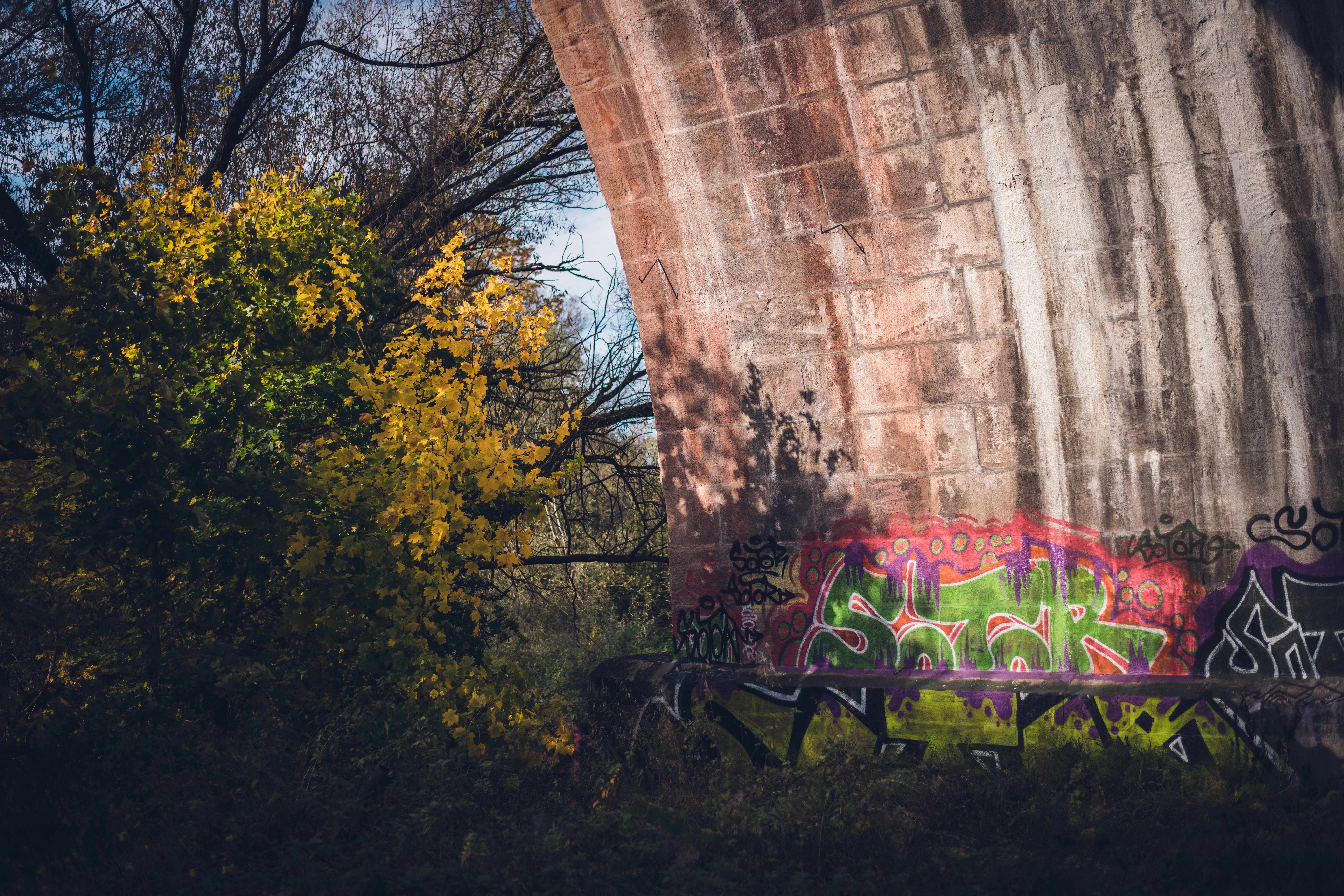 Urban Art Meets Autumn's Embrace