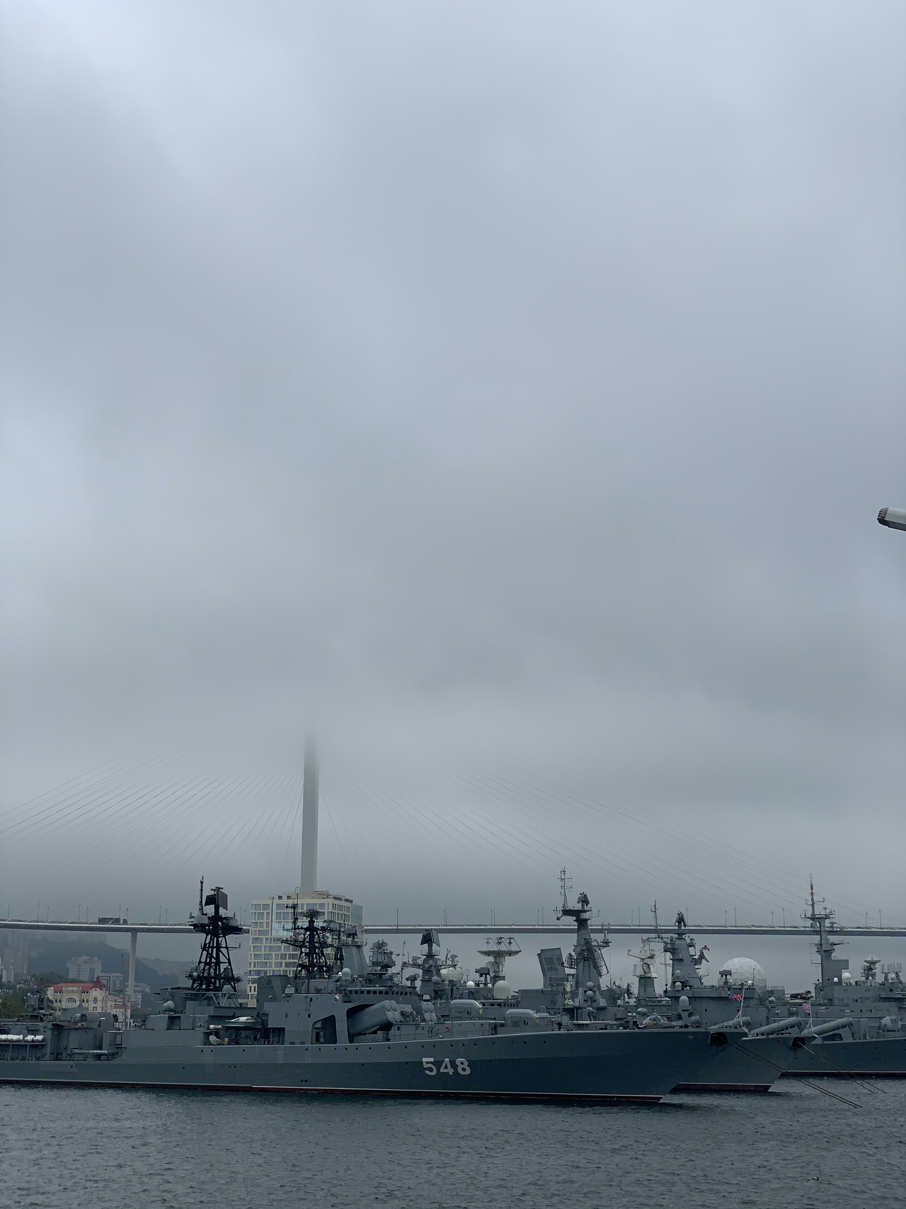 A fleet of gray naval ships anchored under an overcast sky, with a bridge faintly visible in the background. The atmosphere conveys a sense of calm and vigilance.