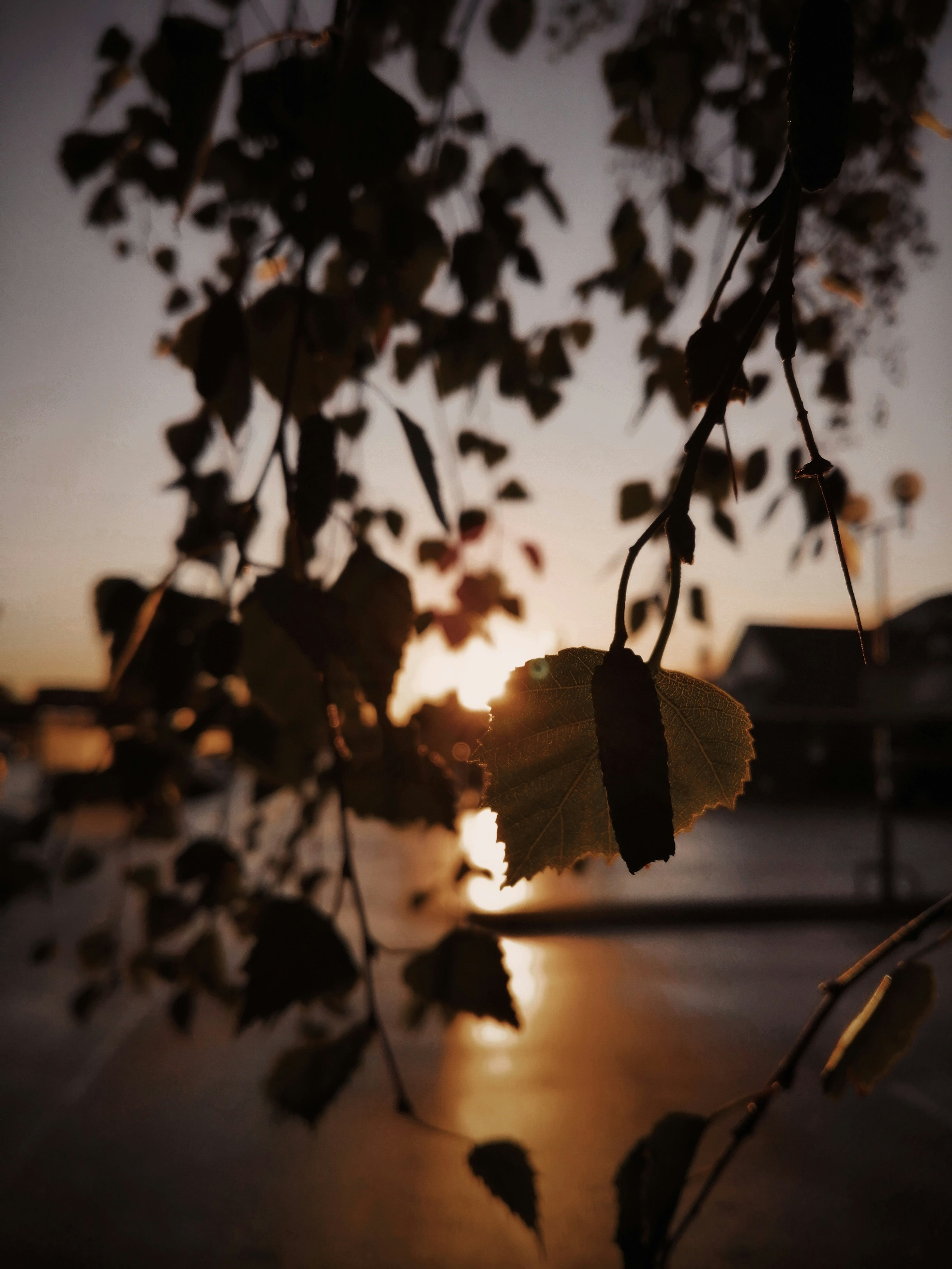 Ogechi Ndu (@ogechin) | Komunitas Foto Unsplash