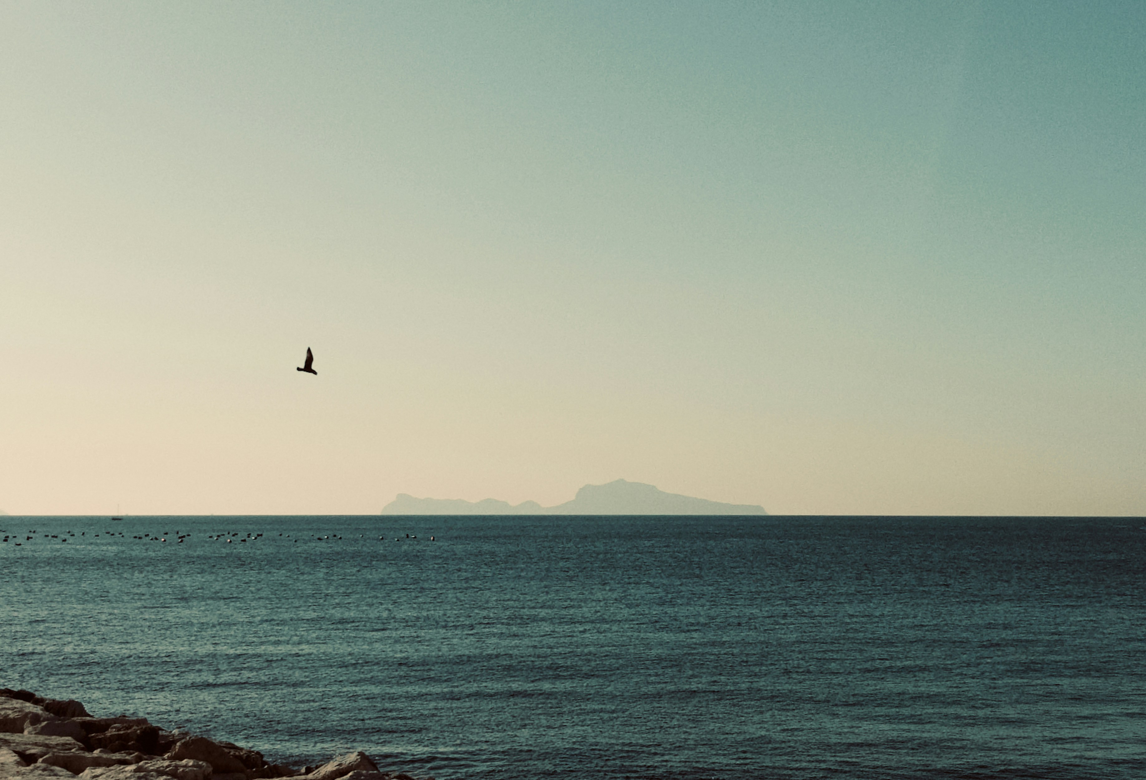 Photo by Antonio Picone with Apple iPhone 7