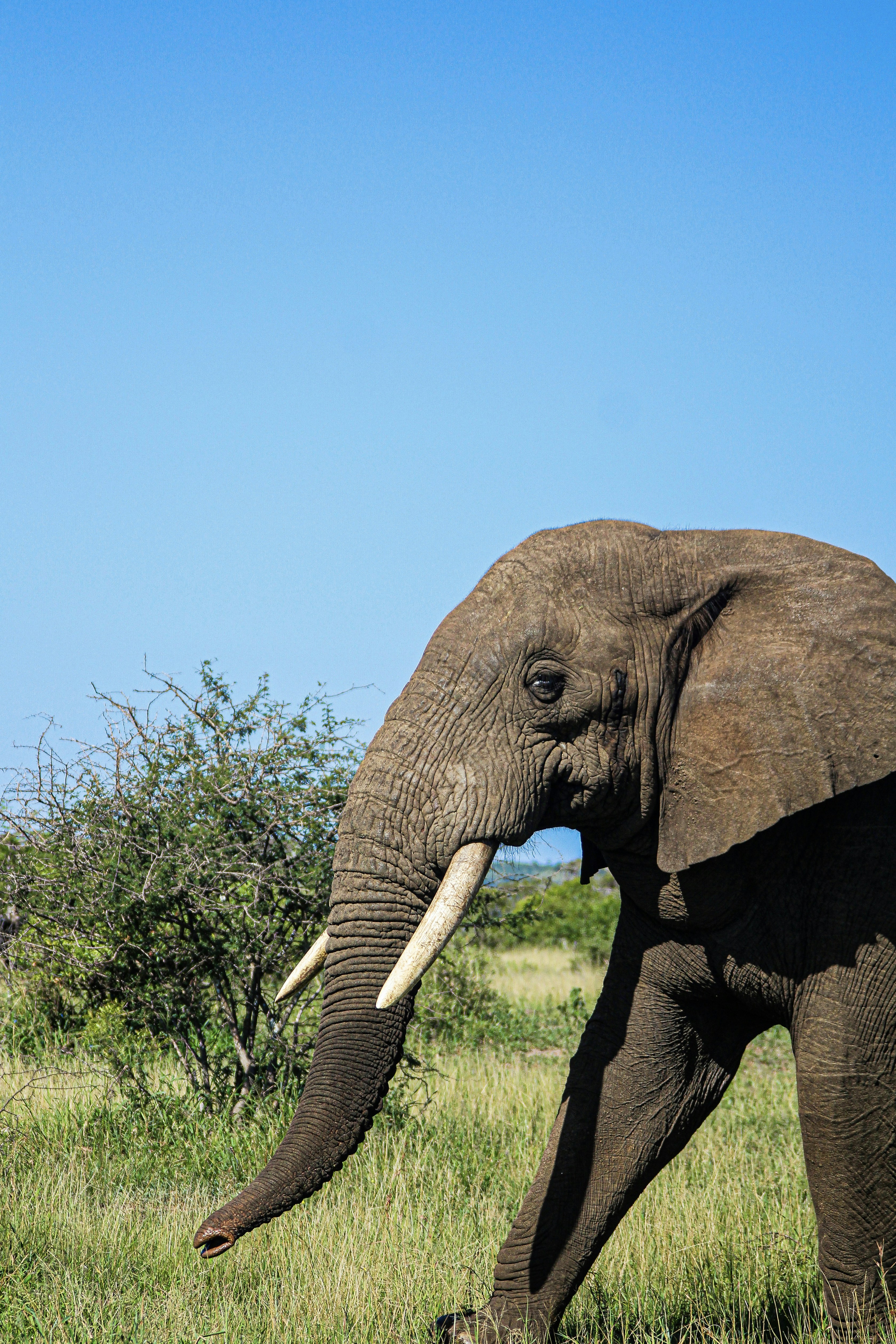 Victoria Fischer (@victoria_fhr) | Unsplash Photo Community