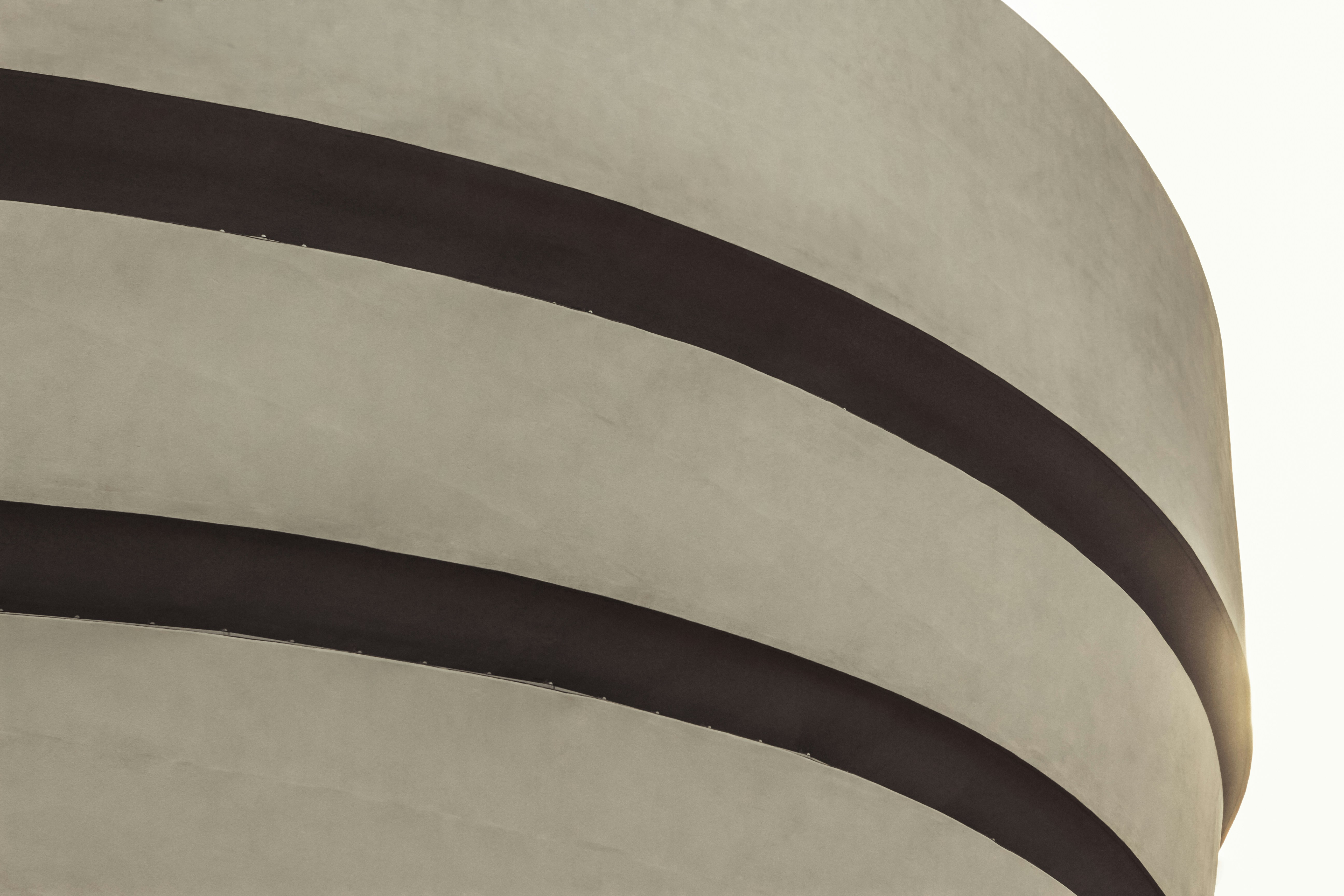 Curved Concrete Strata Leaning into Light