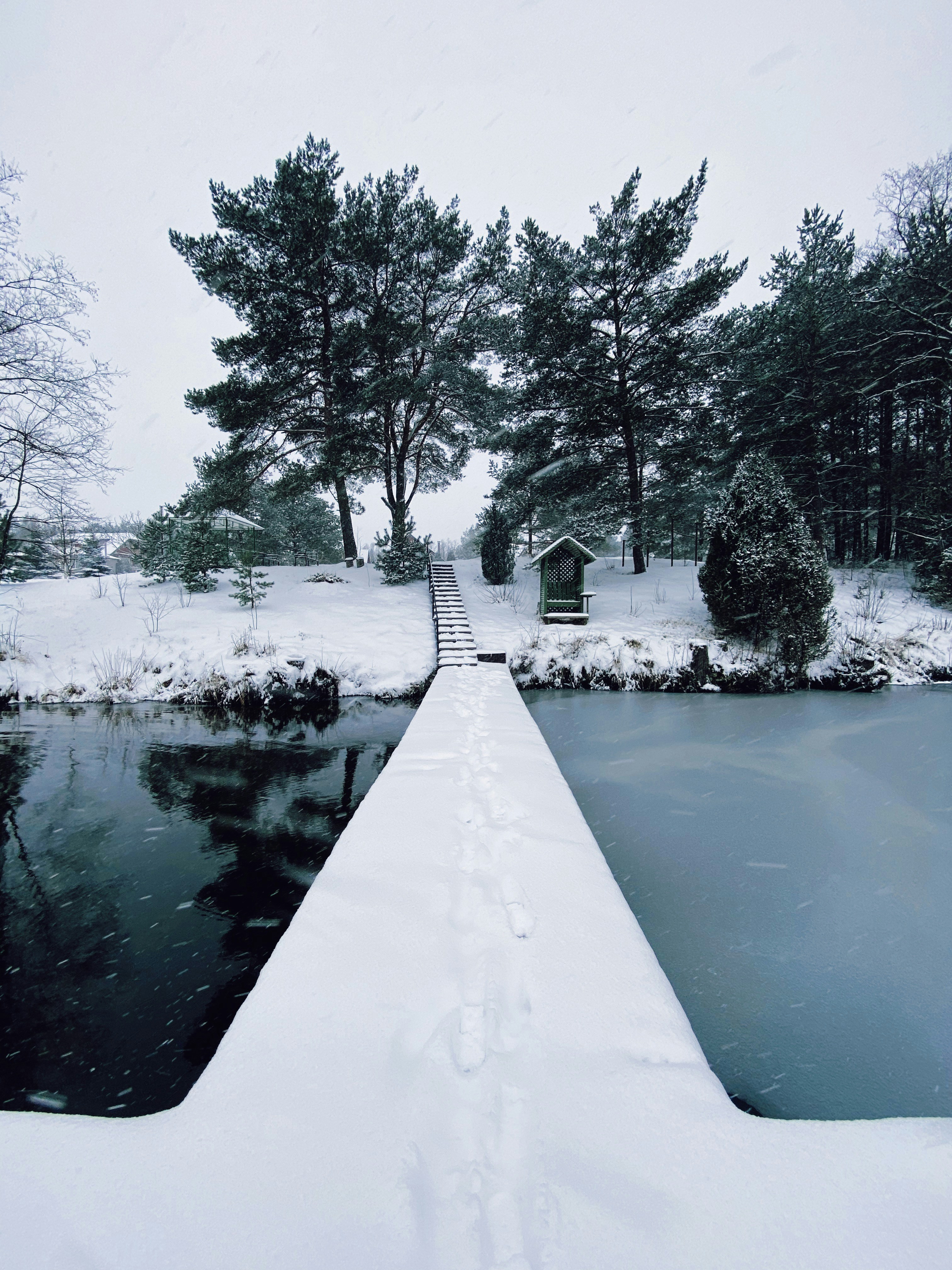 Bridge to Stillness: Winter by the Frozen Canal