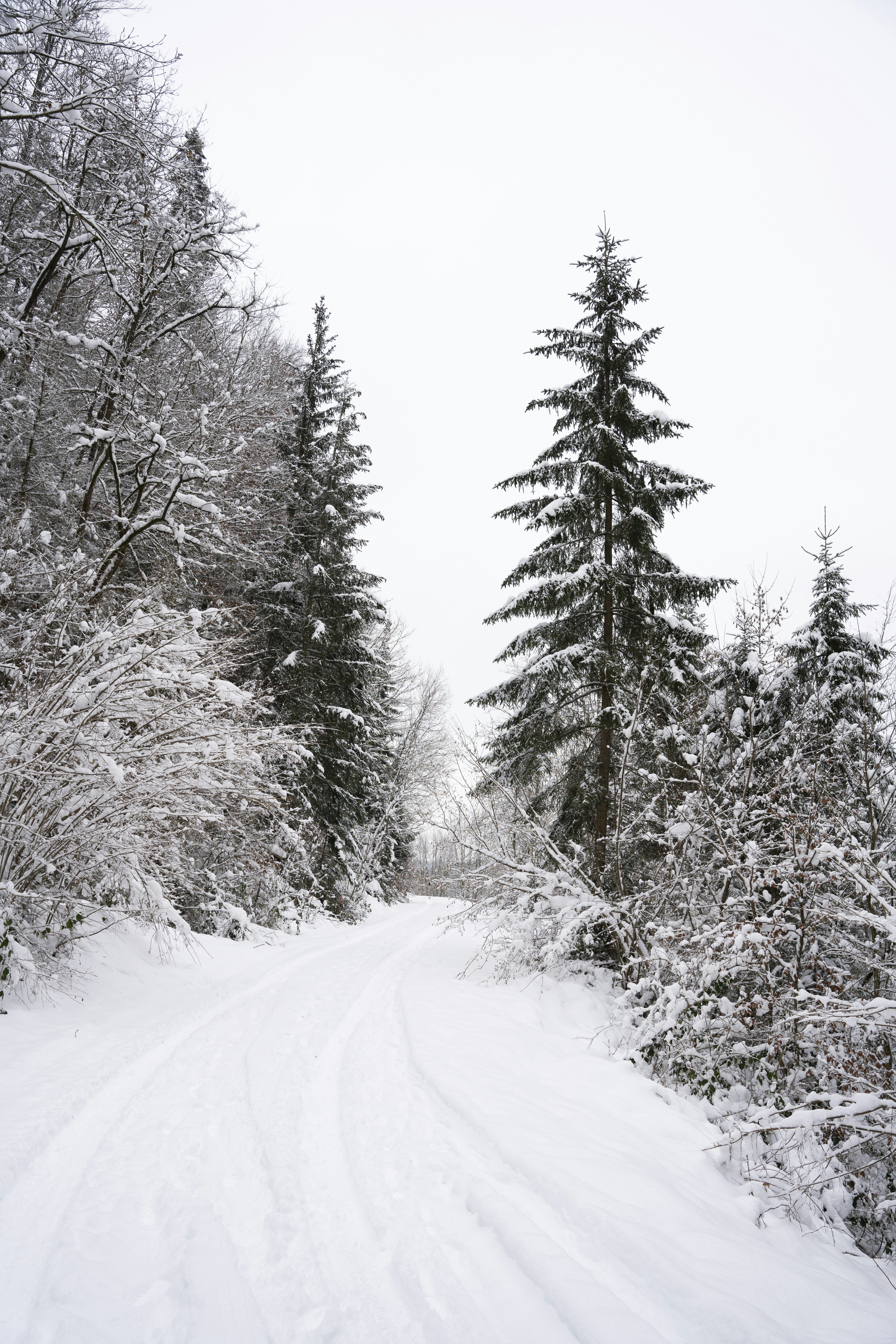 David Emrich (@davidemrich) | Unsplash Photo Community