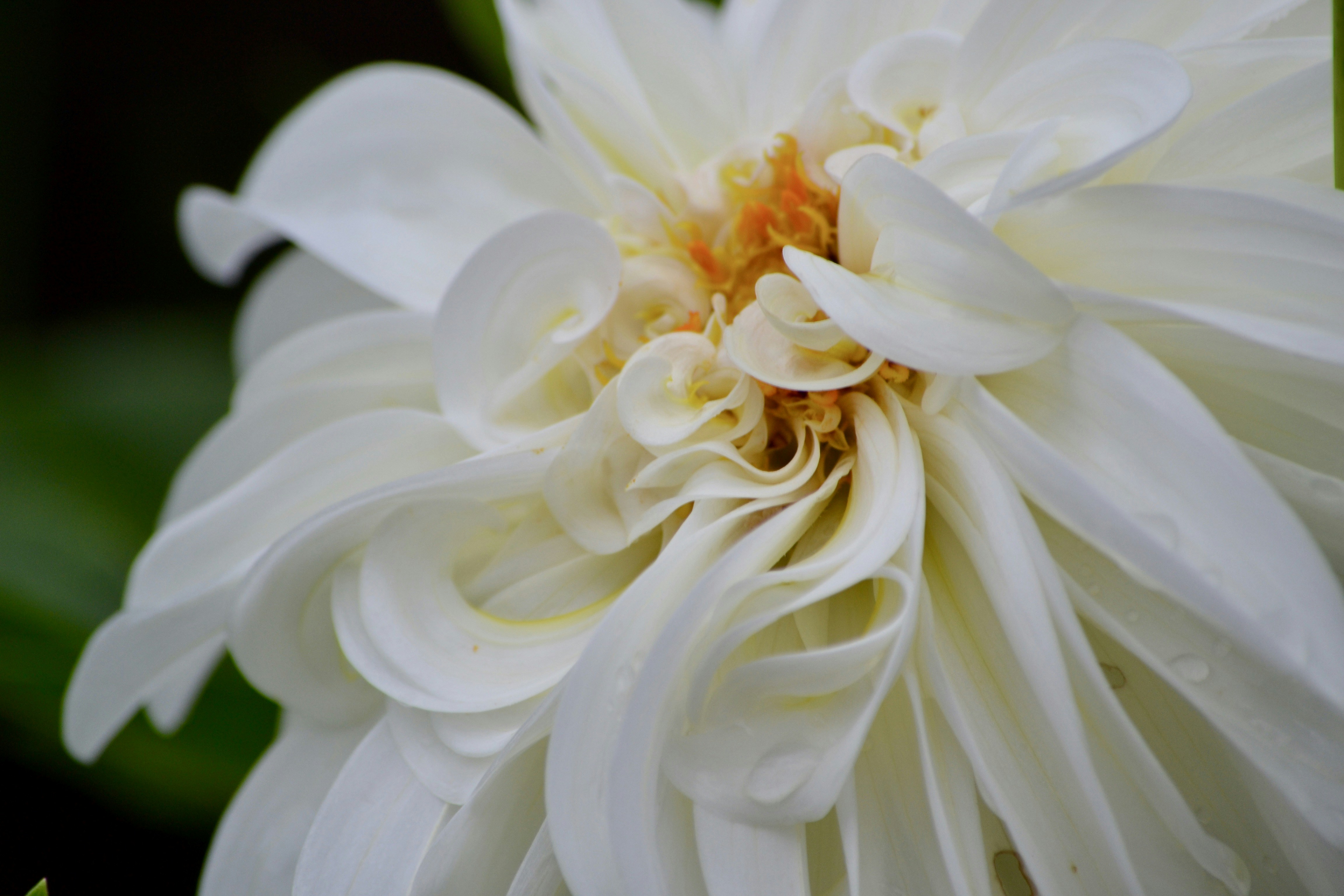 K HN (@knowinghisname) | Unsplash Photo Community