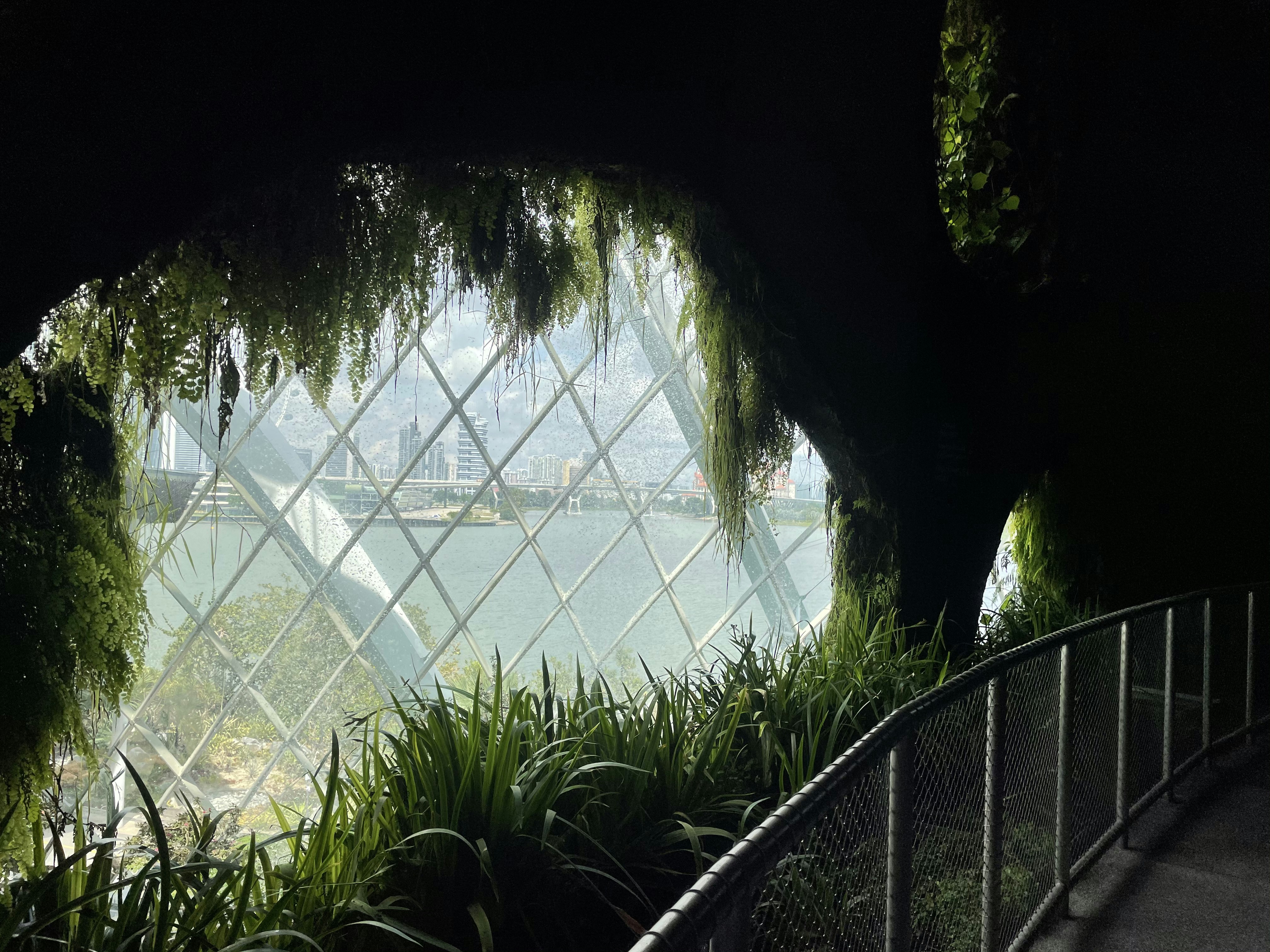 Lush greenery frames a geometric glass structure overlooking a serene body of water, blending nature with modern architecture.