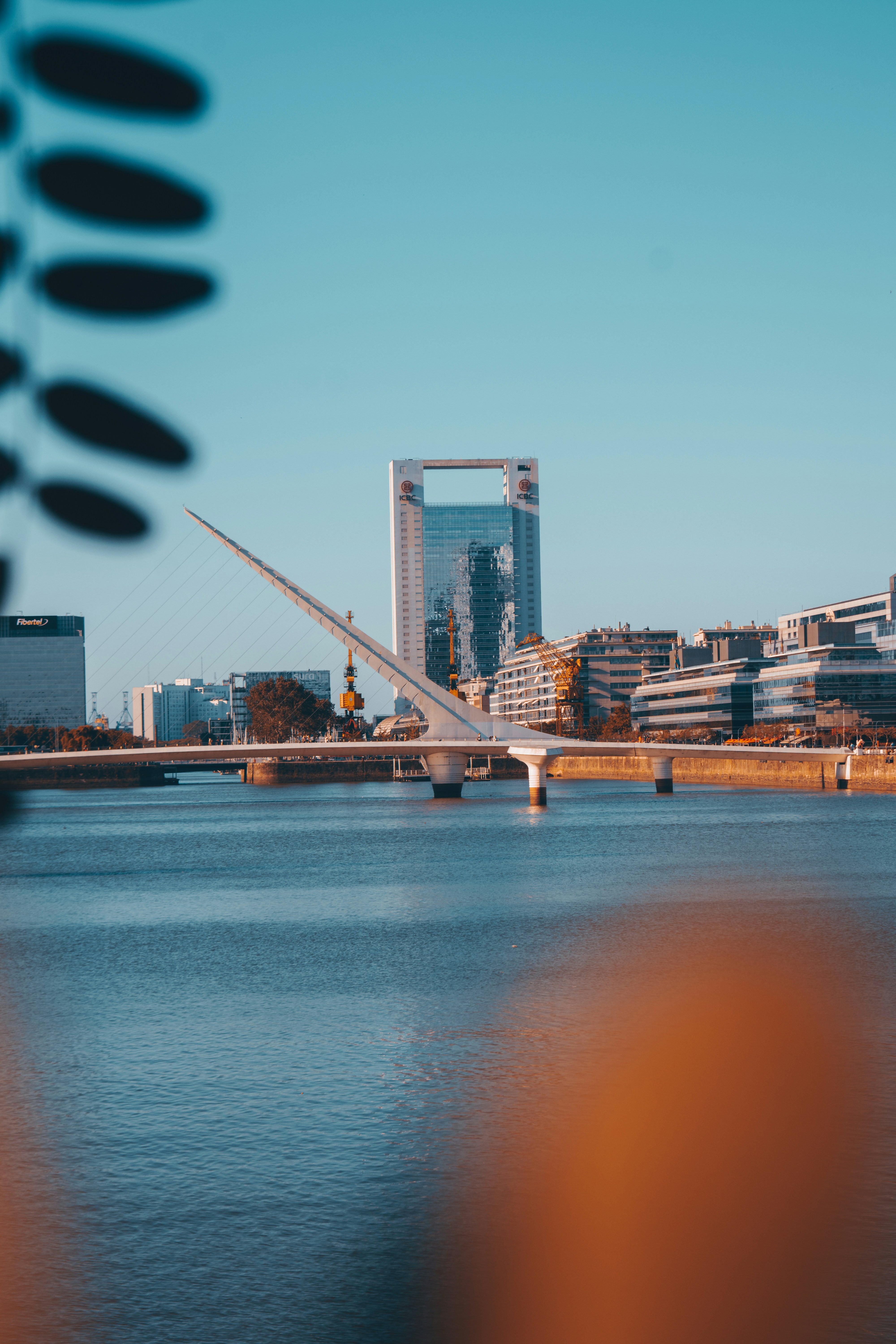 Arch Over the River: Glass Skyline Framed by a Cable-Stayed Bridge