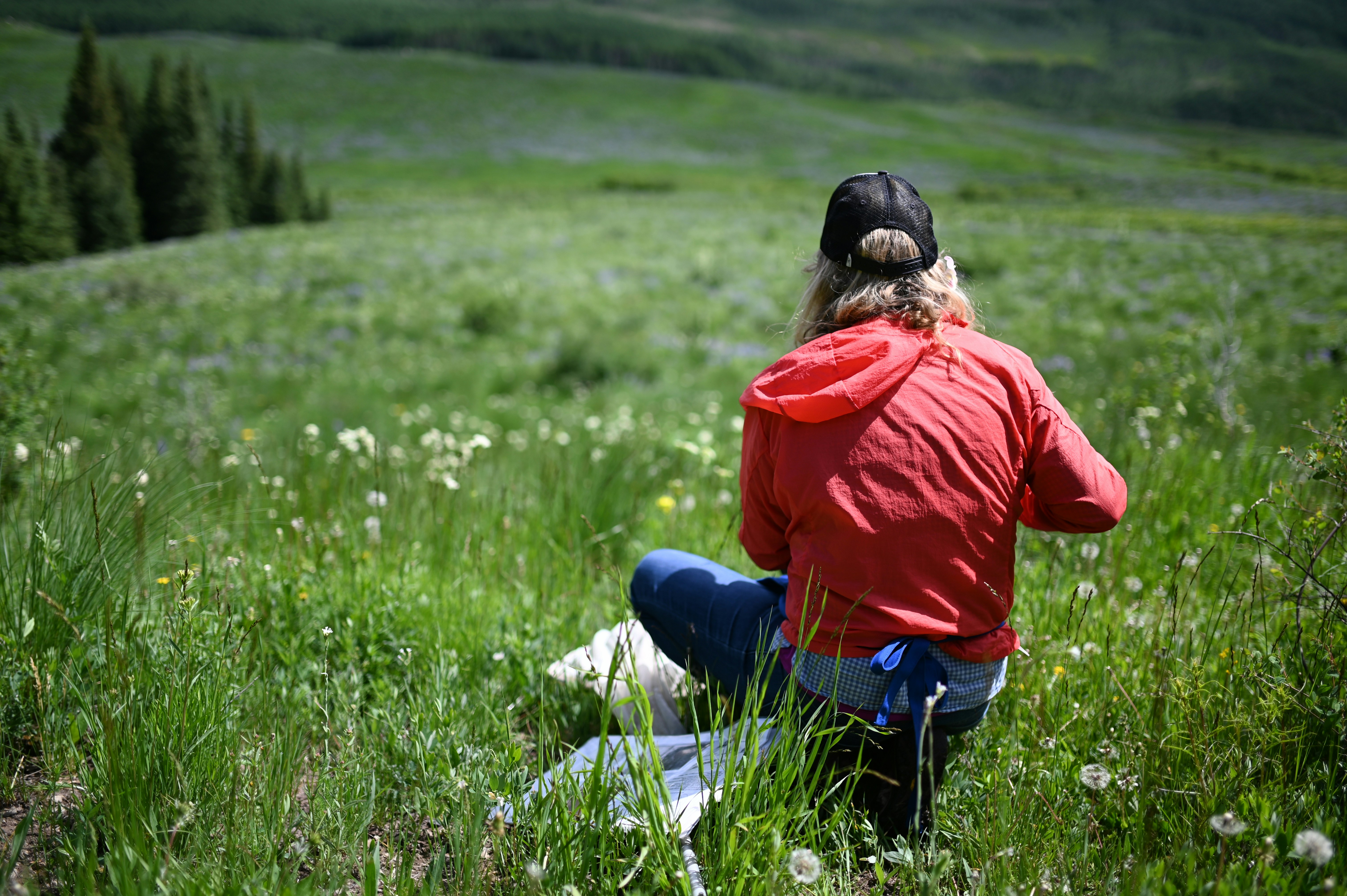 Seated in a Meadow: A Hiker Resting Among Wildflowers