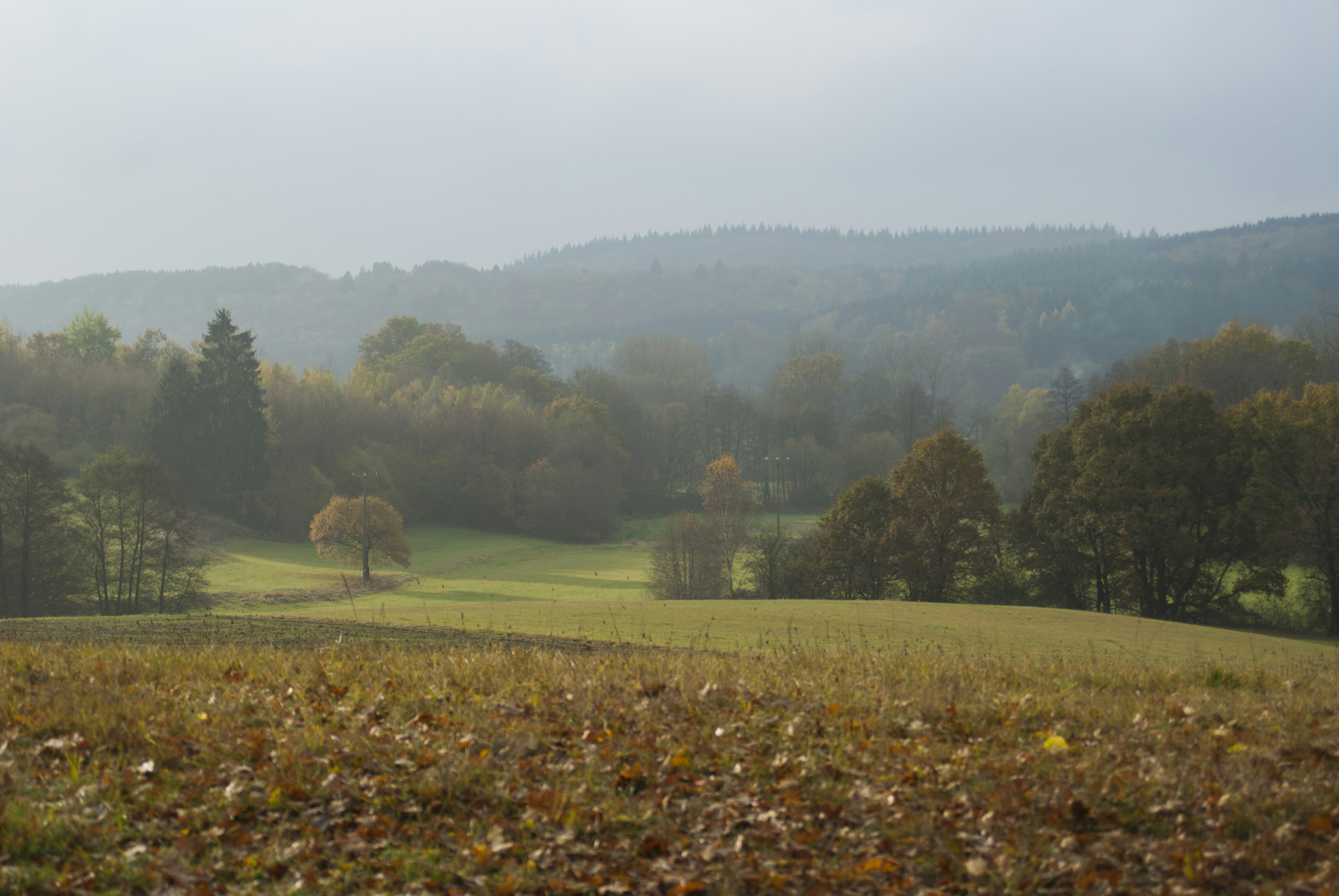 Expansive view of a tranquil countryside with rolling hills and autumn foliage under a soft, overcast sky.