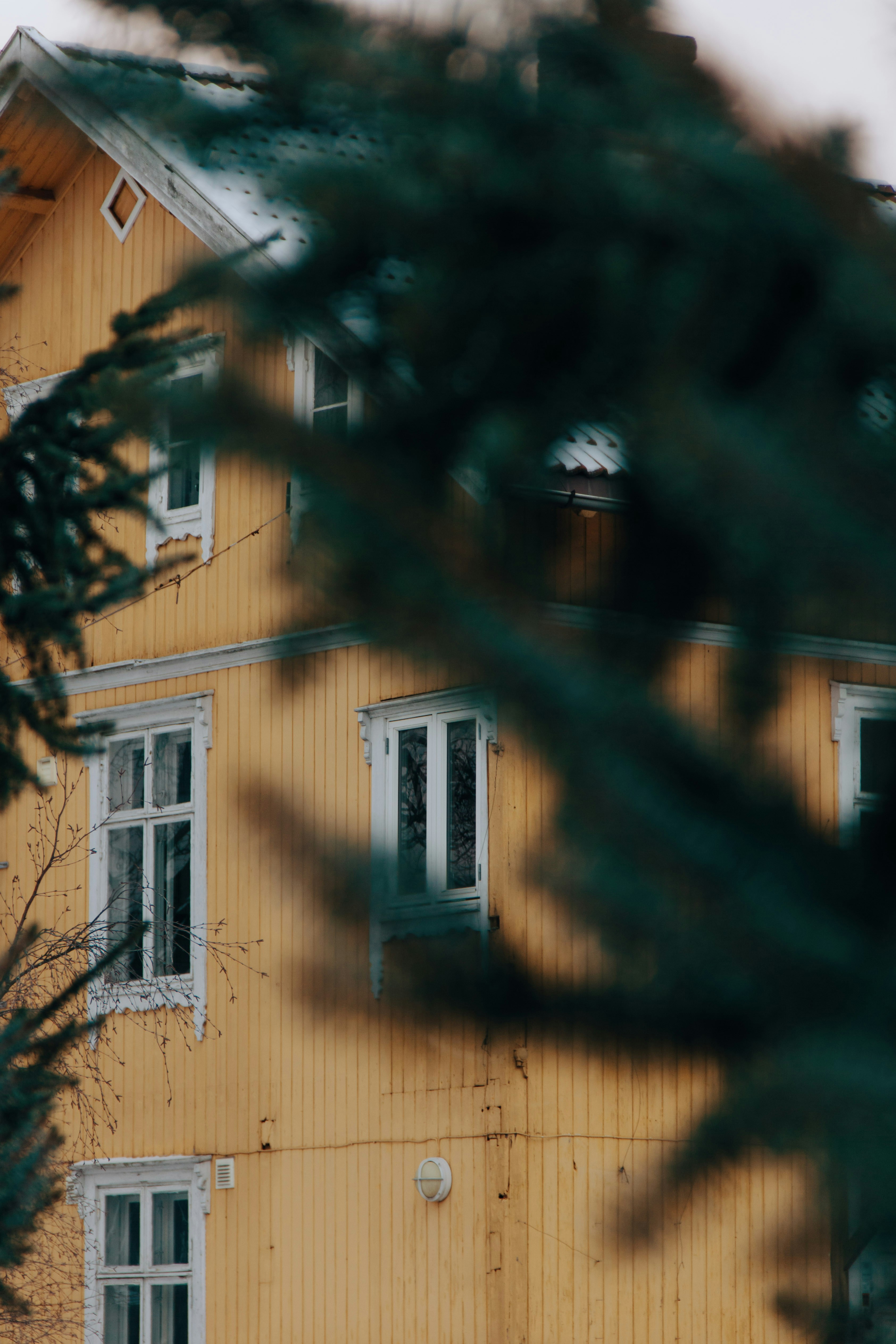 A charming yellow wooden house partially obscured by evergreen branches, hinting at a serene, secluded environment.