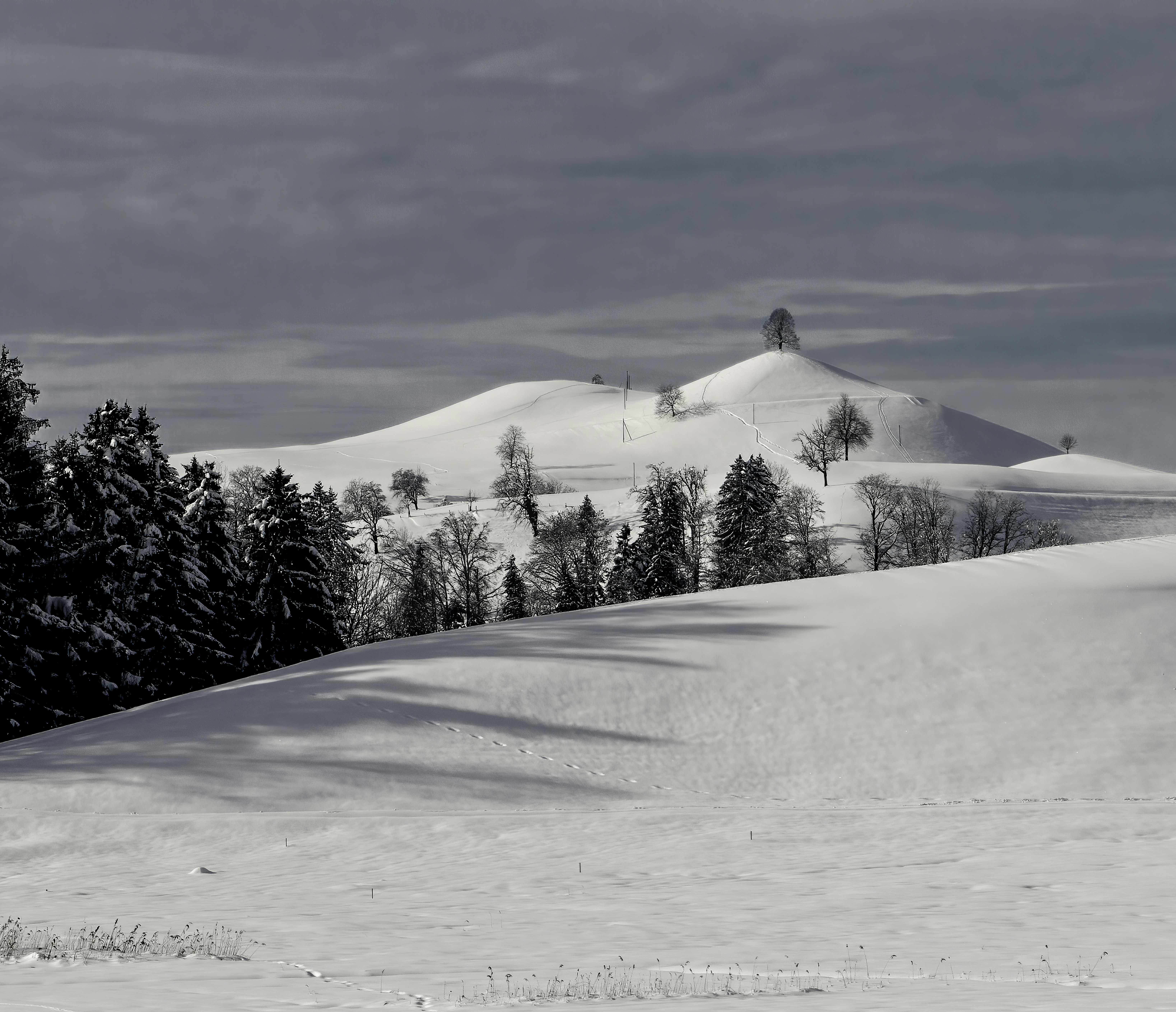 Whispers of Winter on Rolling Hills