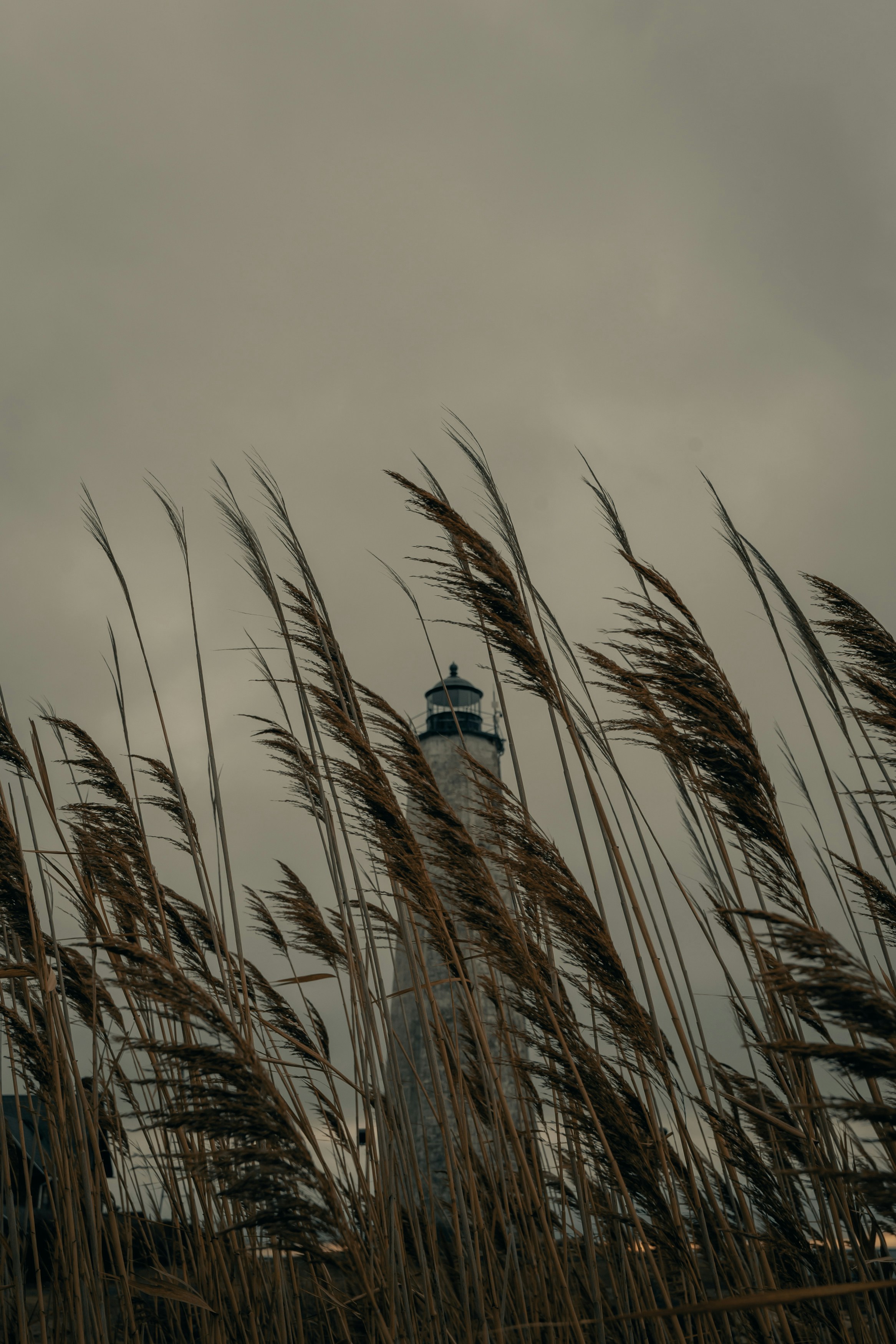 Whispers of the Coast