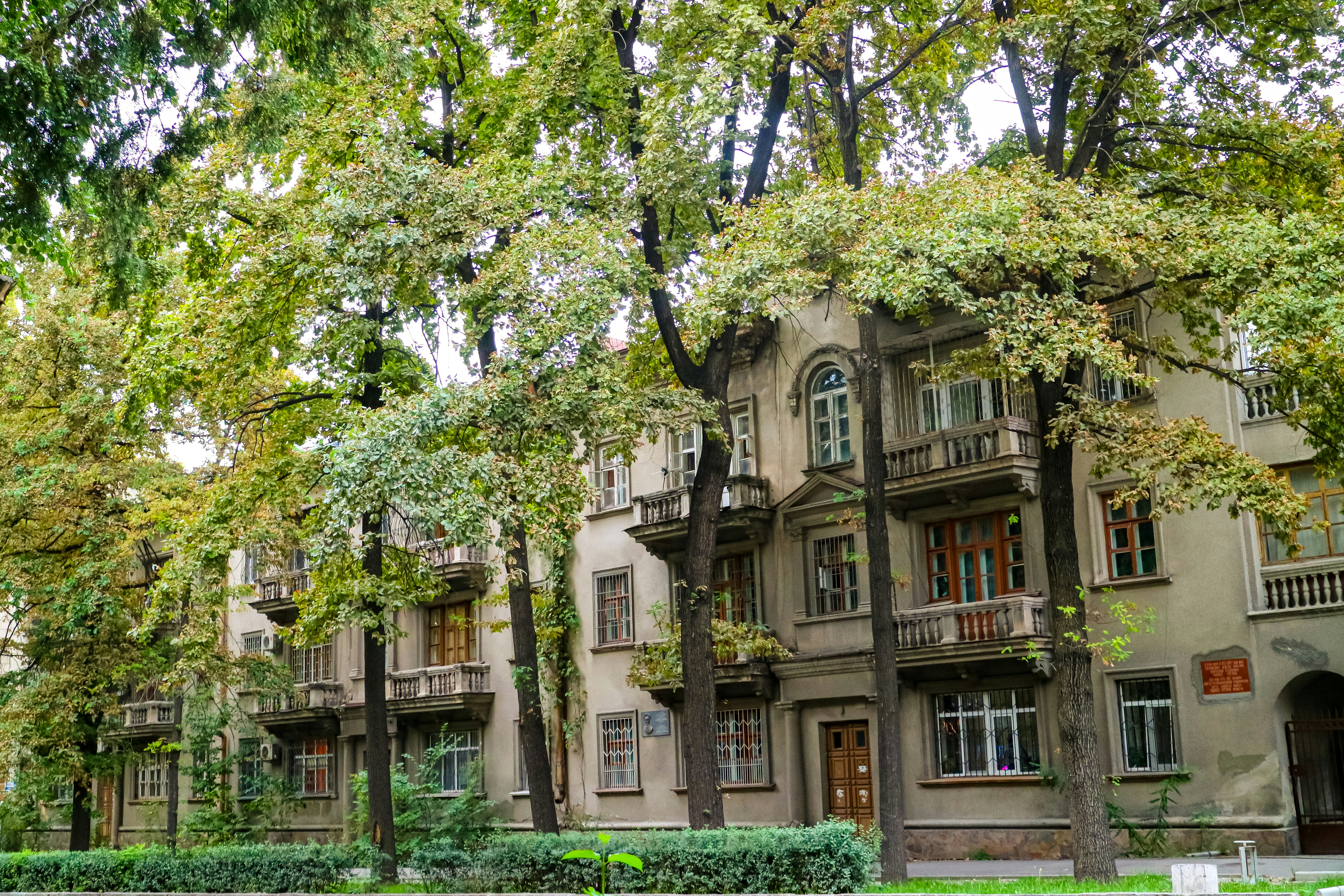 Historic apartment building framed by lush, vibrant trees showcasing the beauty of autumn foliage.