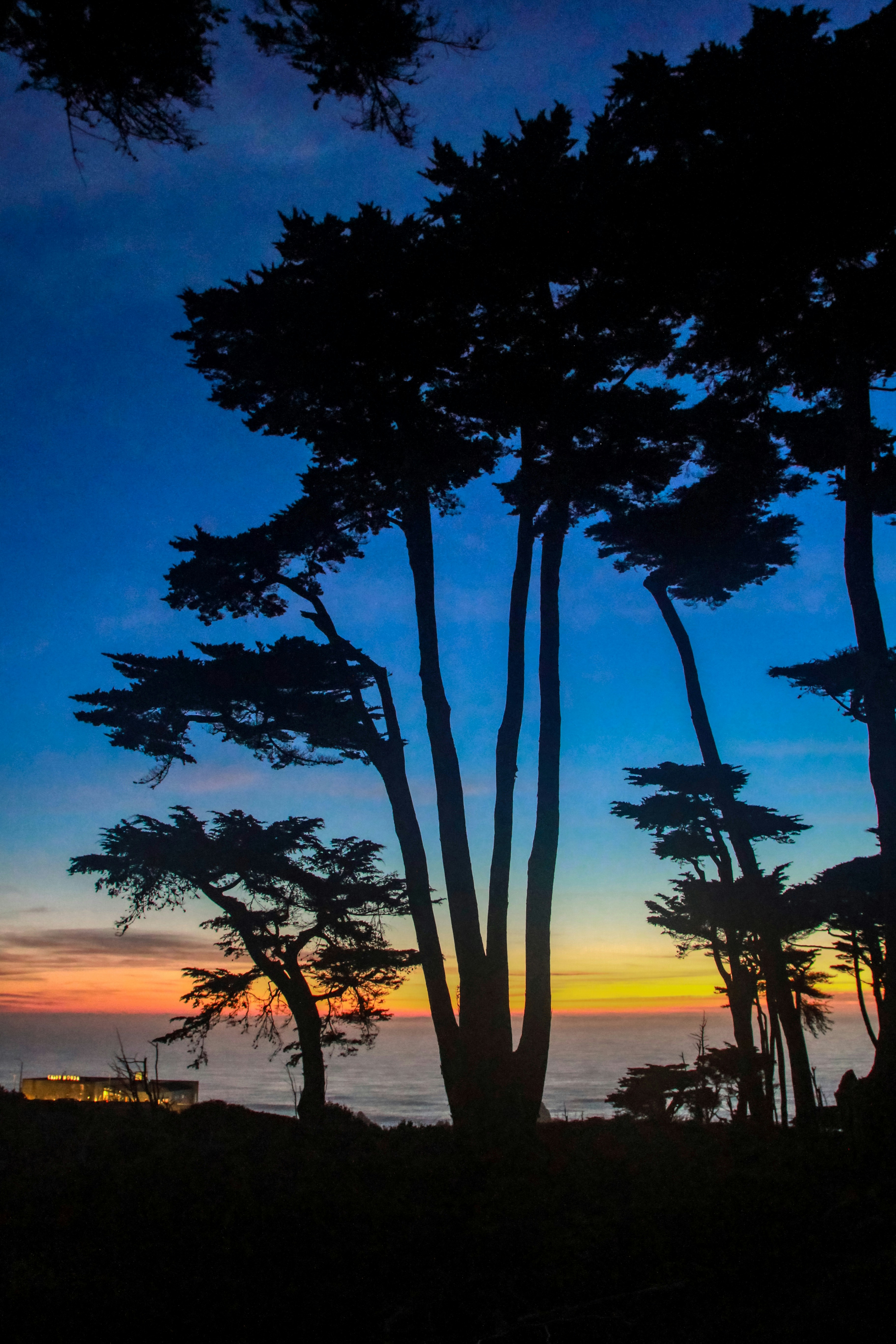 A brisk evening walk along the Lands End Trail allows you to see the Golden Gate Bridge from a nice vantage, and we were treated with this wonderful blue hour sunset on the way back.