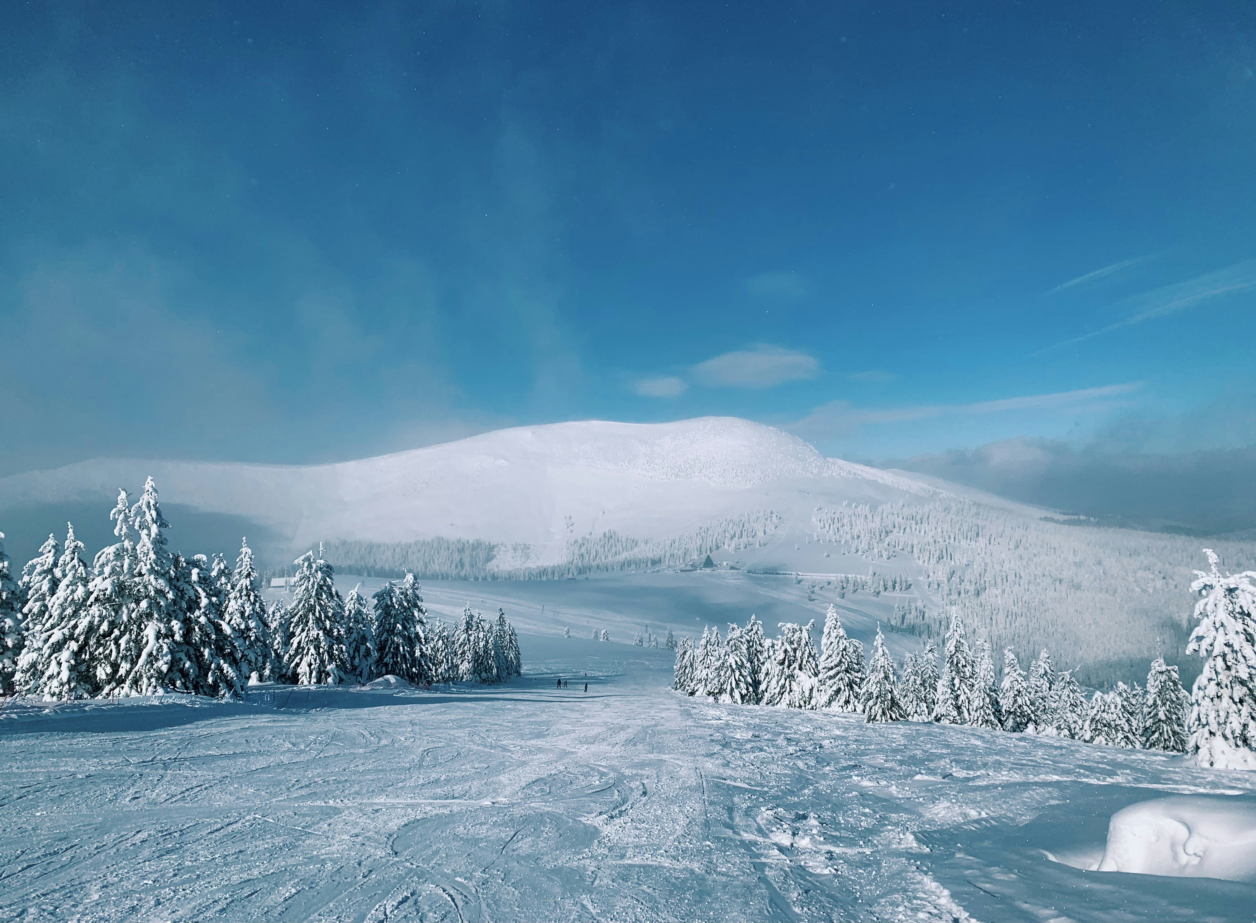 Winter Landscape Pictures [Stunning!] | Download Free Images on Unsplash