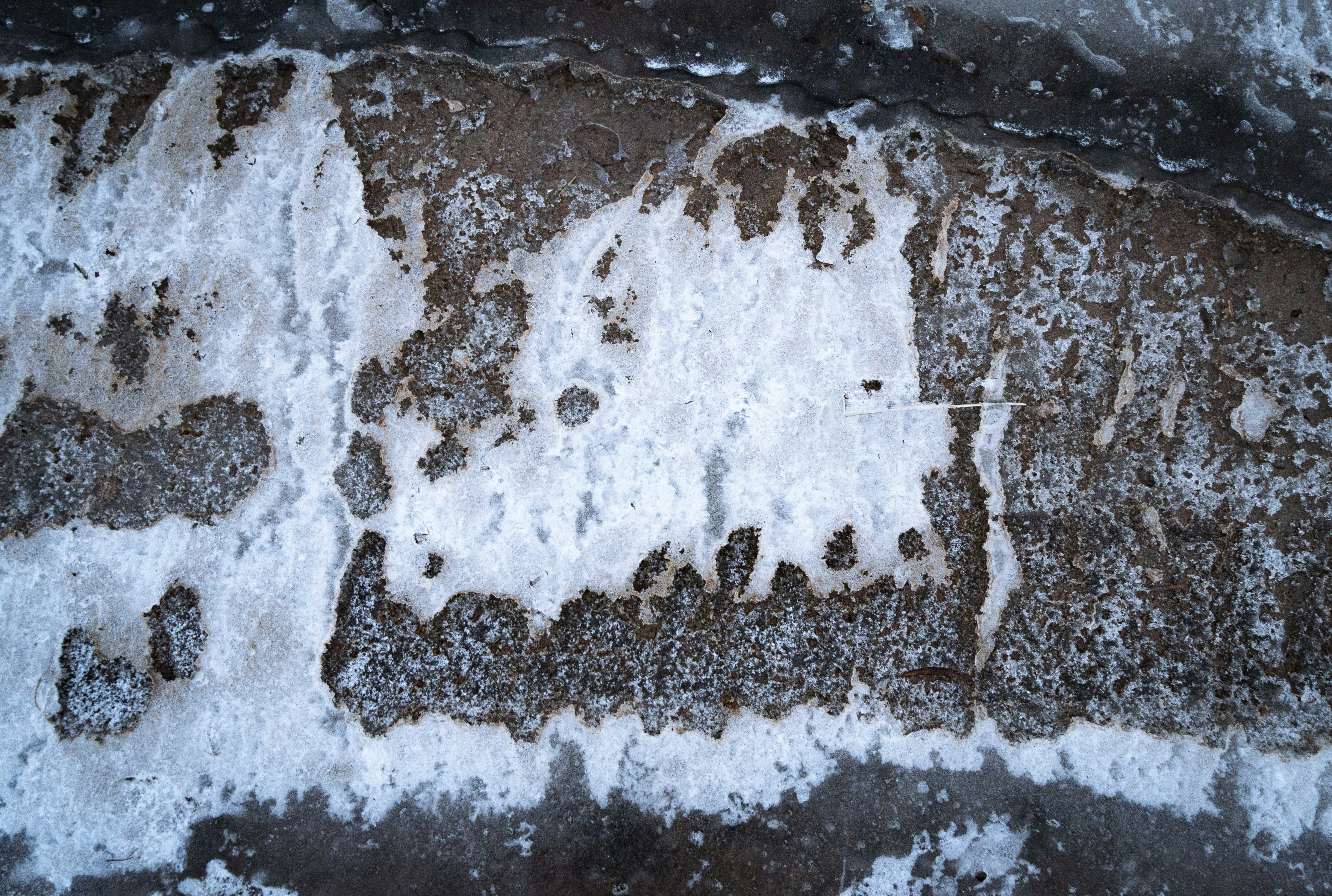 Snow Lace on Weathered Rock: A Microtexture Portrait