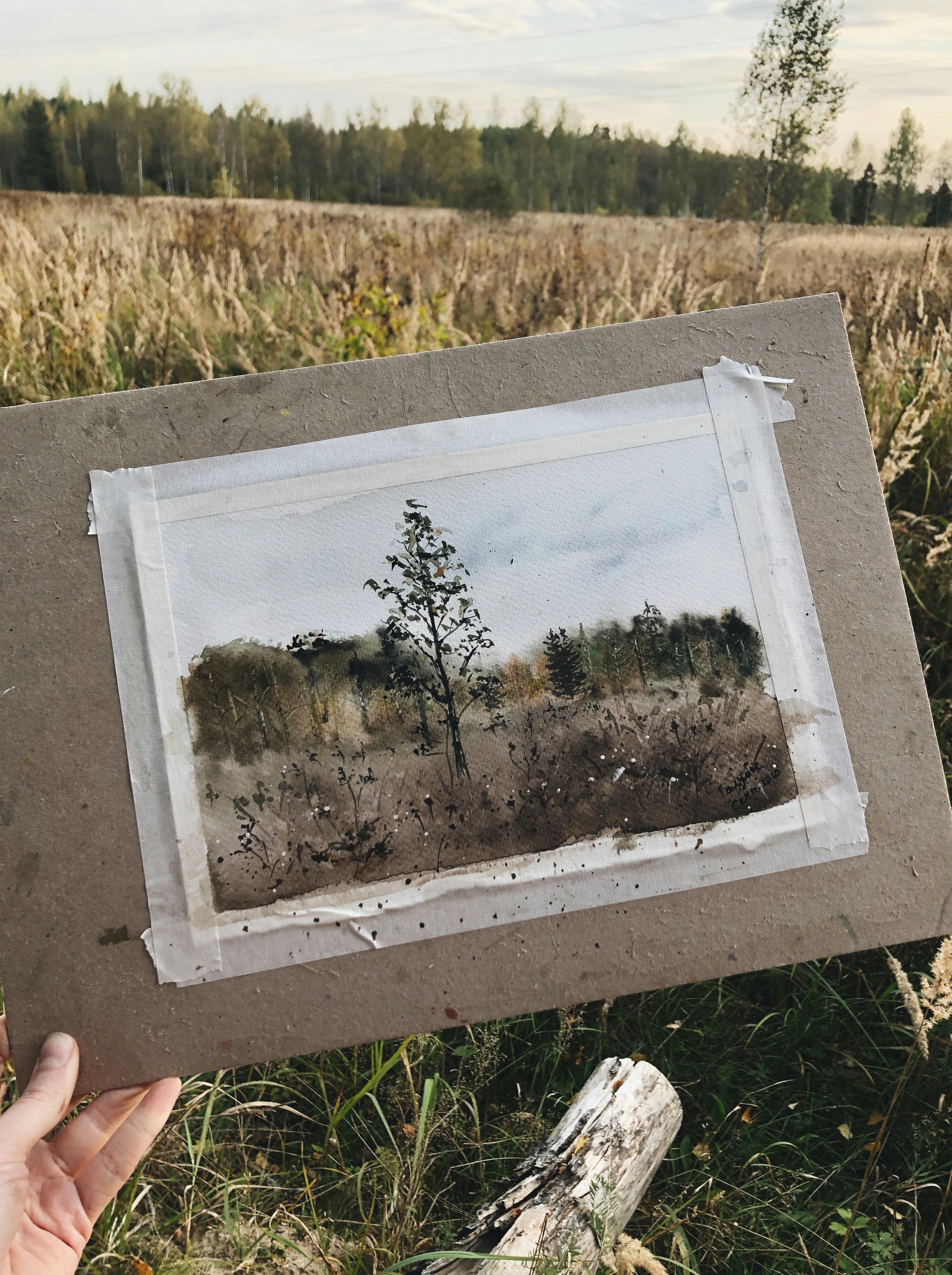 Tape-Stamped Field Study: A solitary tree on weathered cardboard in a sunlit meadow