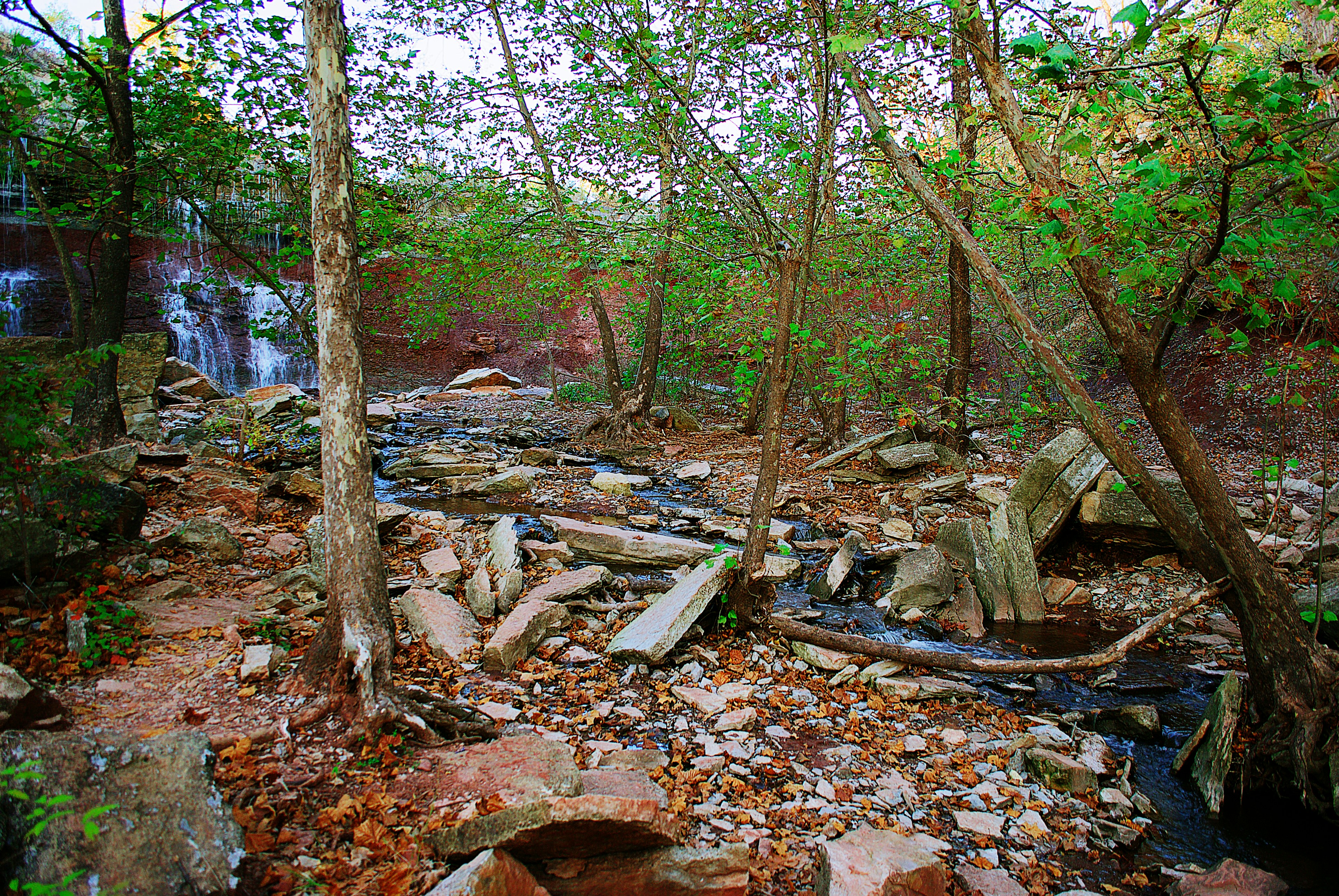 Rocks, Roots, and a Distant Cascade: A Quiet Forest Staircase