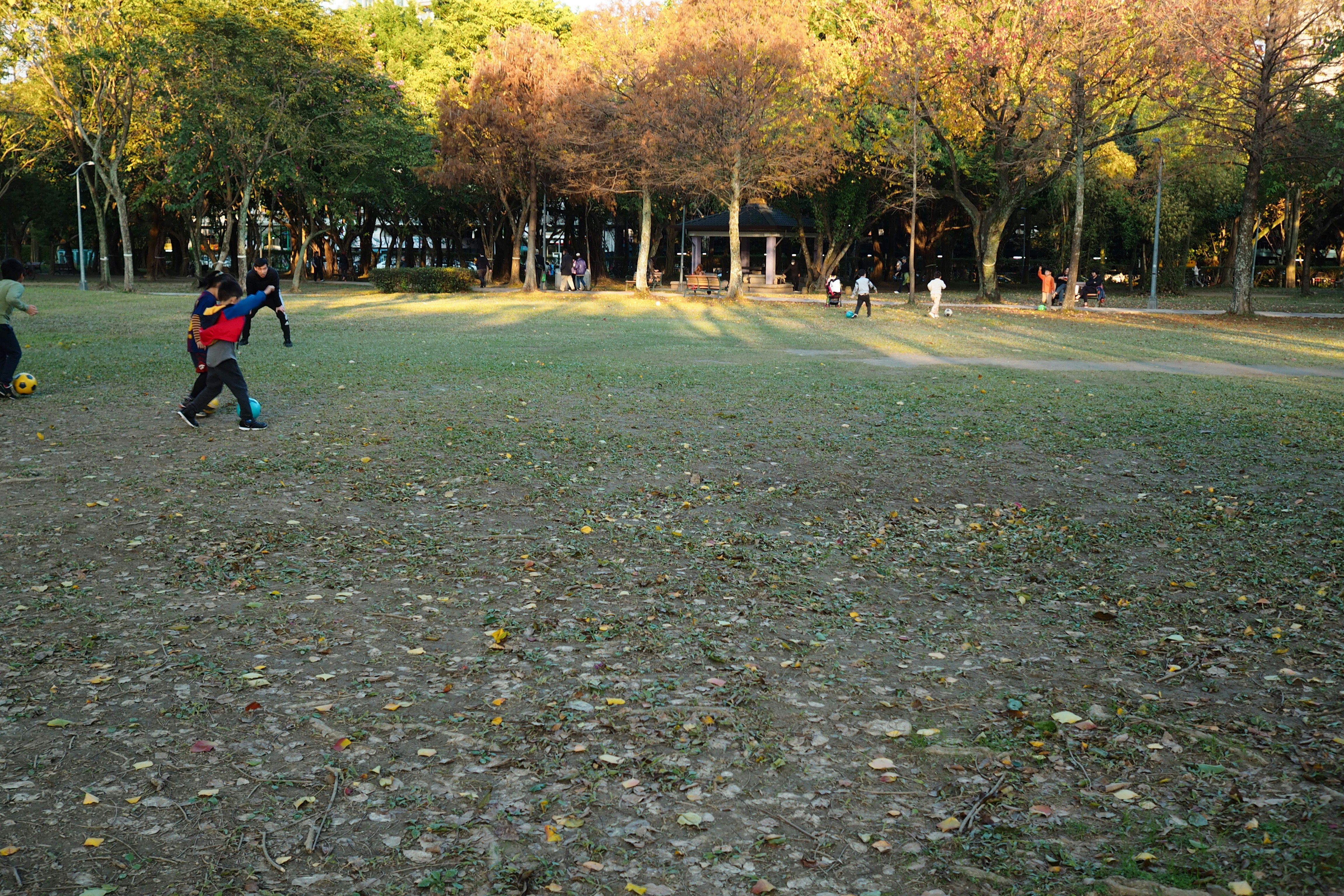 people walking on park during daytime