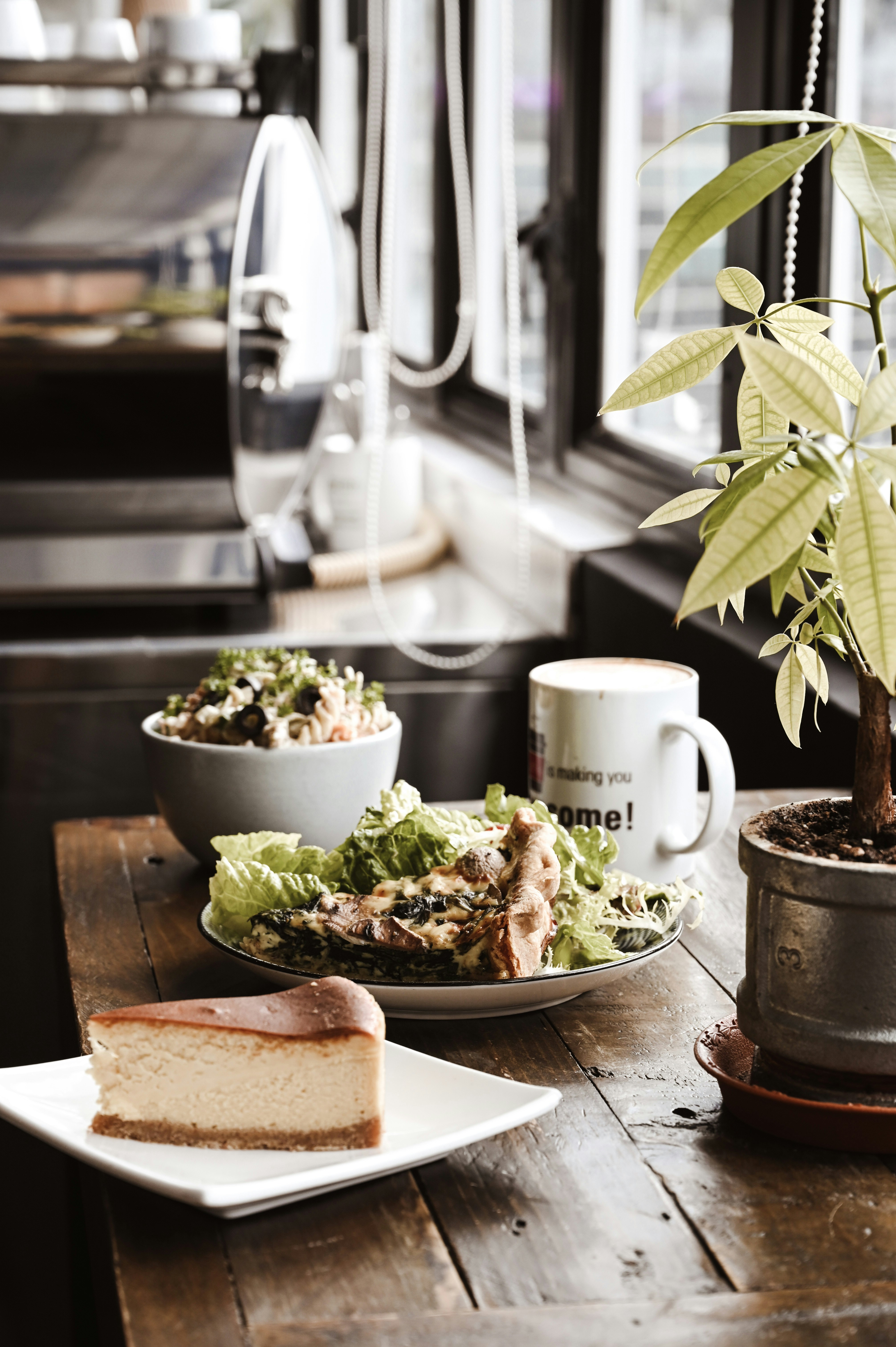 A beautifully arranged table featuring a slice of cheesecake, a fresh salad, and a potted plant, all set against a cozy café backdrop.