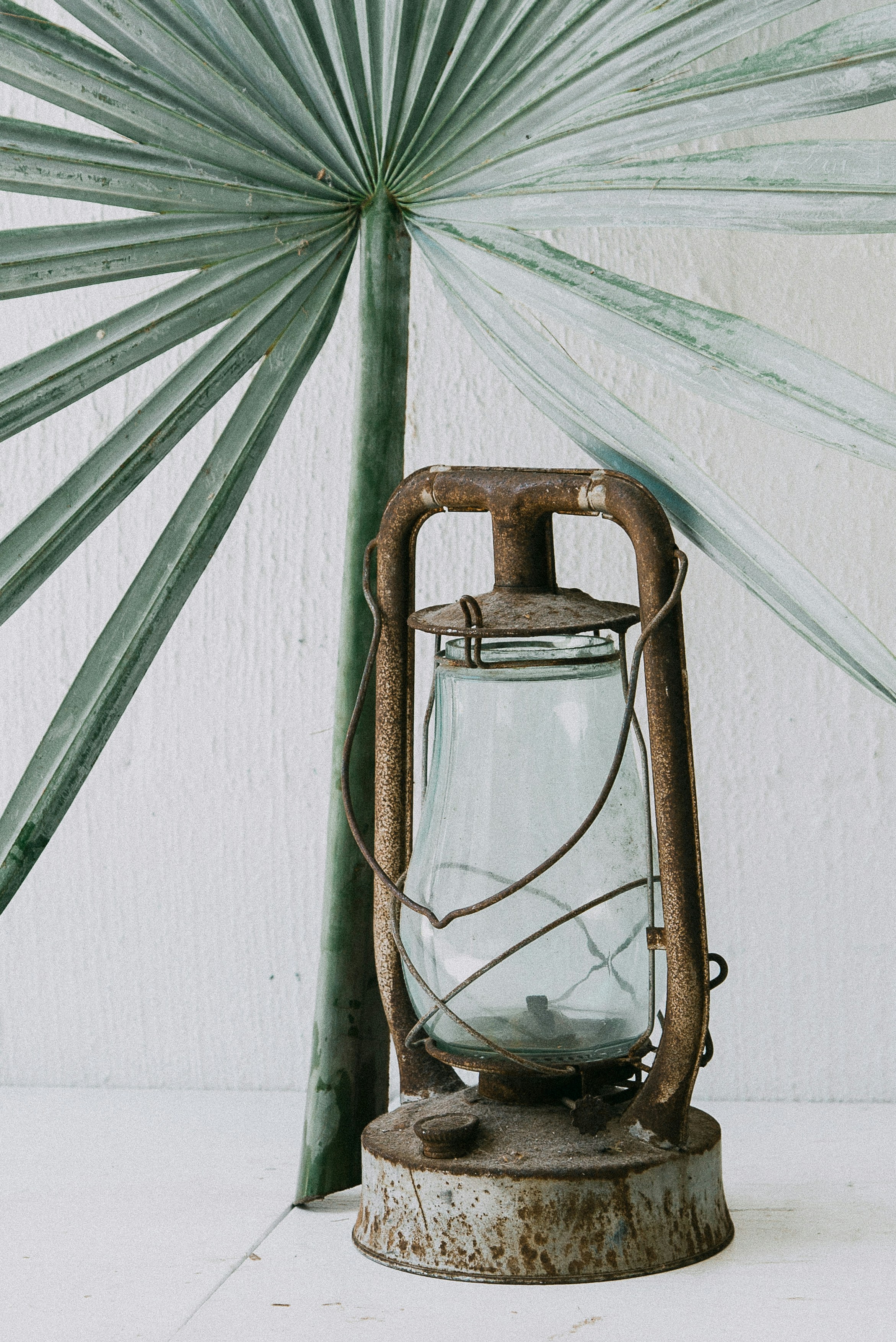 Leaf & Lantern