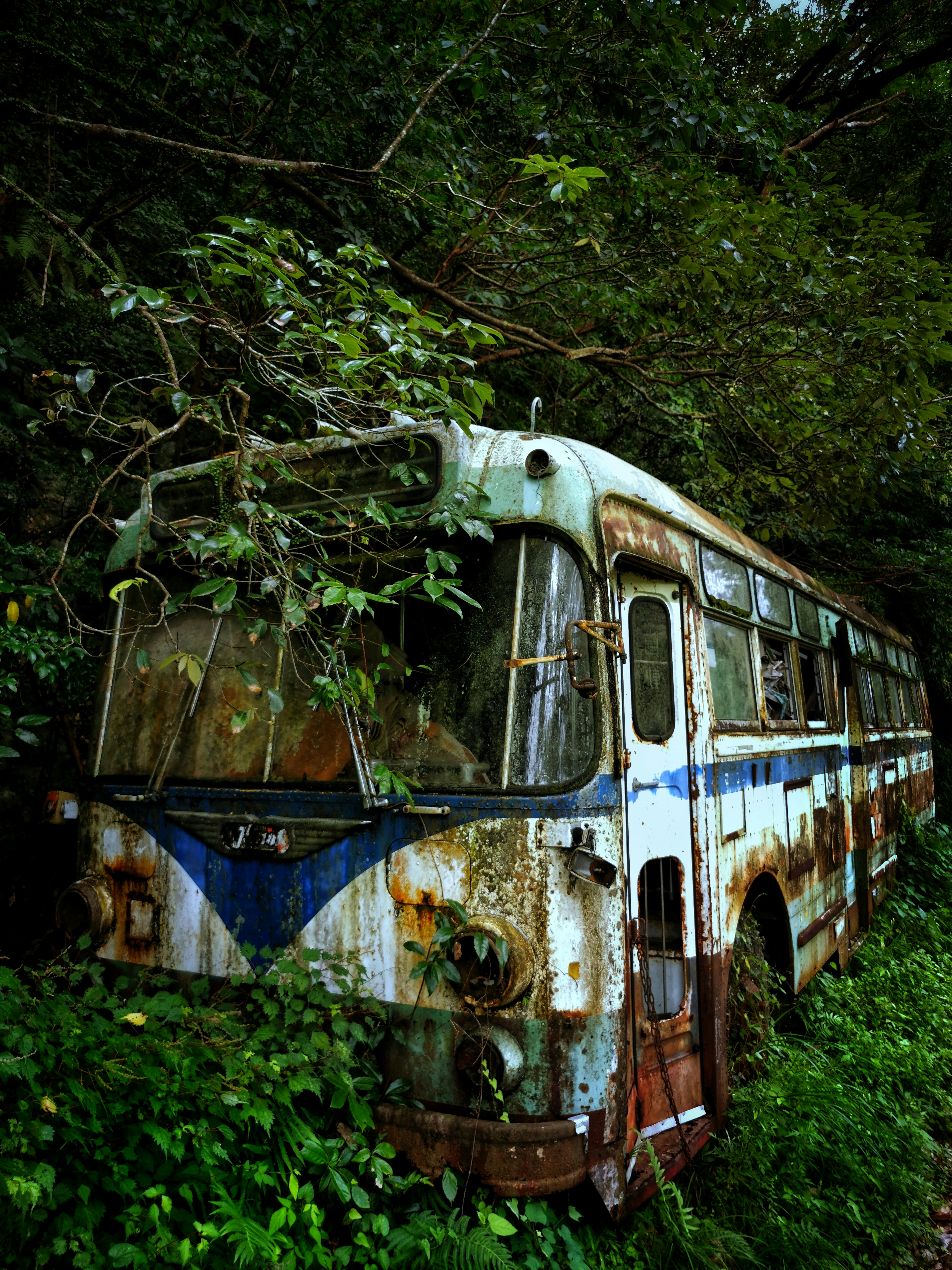 An abandoned bus overrun by lush vegetation, showcasing nature reclaiming its territory. The weathered exterior tells a story of time and neglect.
