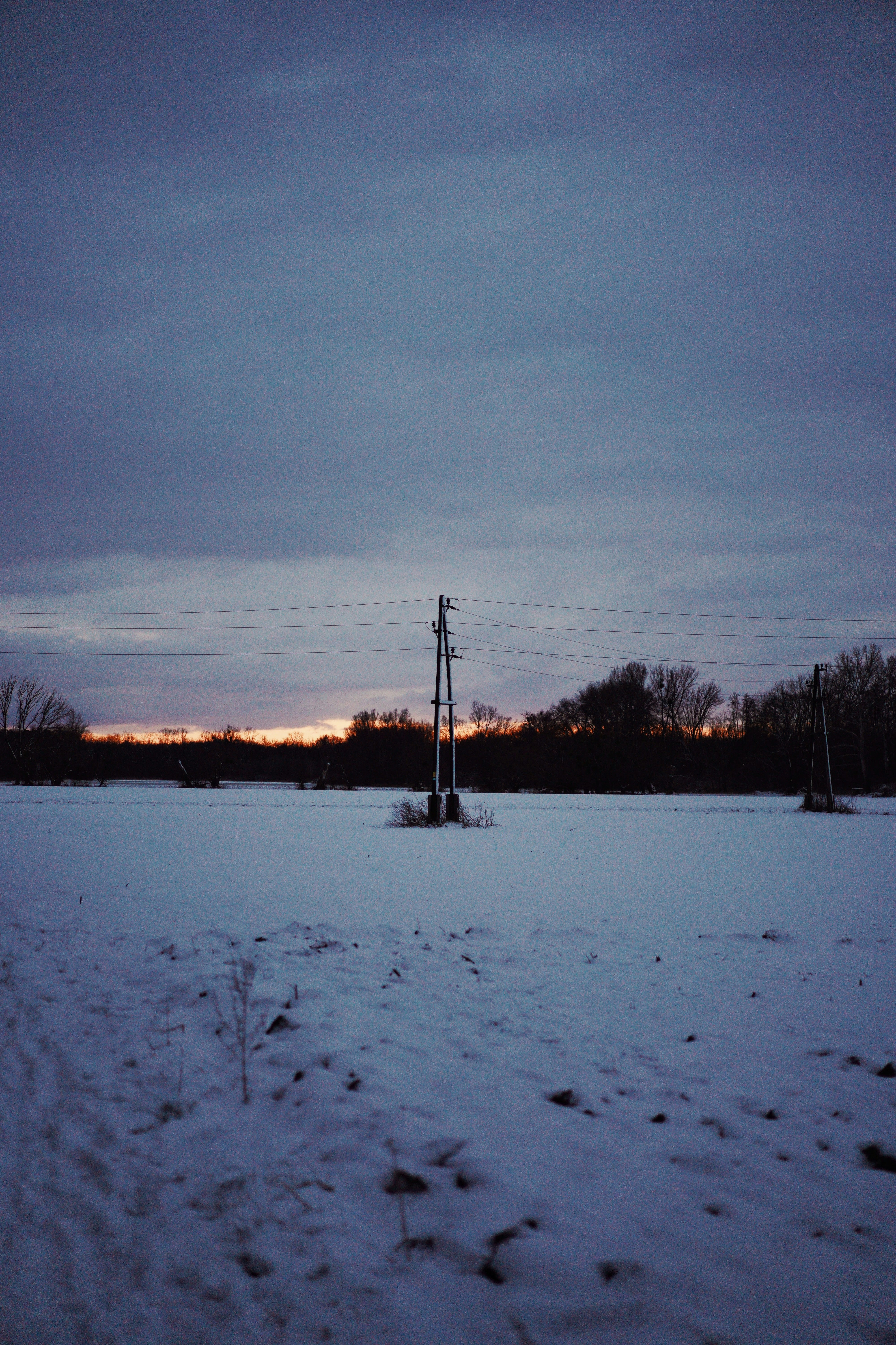 A serene winter landscape with power lines silhouetted against a soft sunset, blanketed in fresh snow.