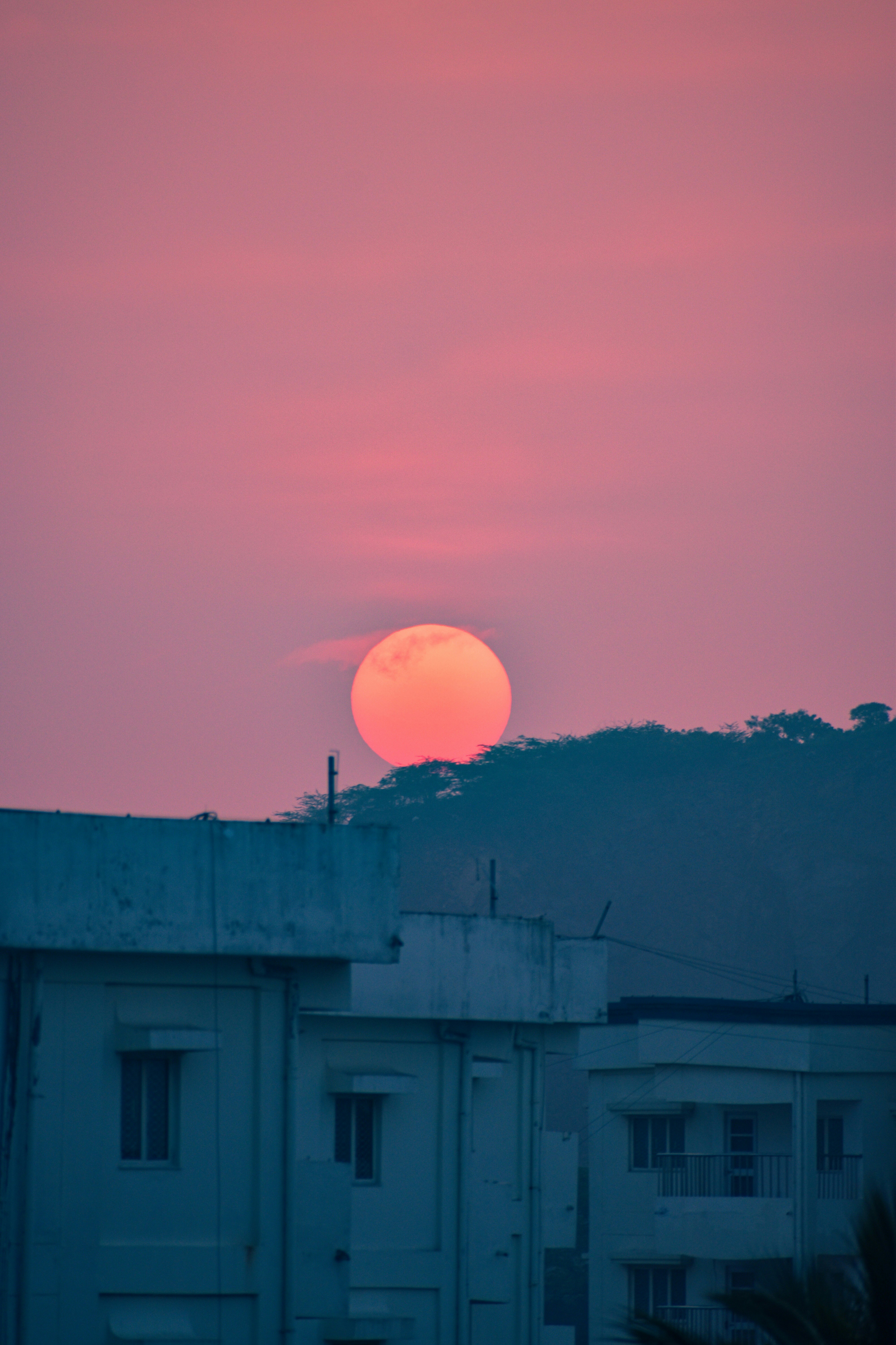 Vibrant sunset casting hues of pink and orange over silhouetted buildings and trees. The sun appears poised to dip below the horizon.