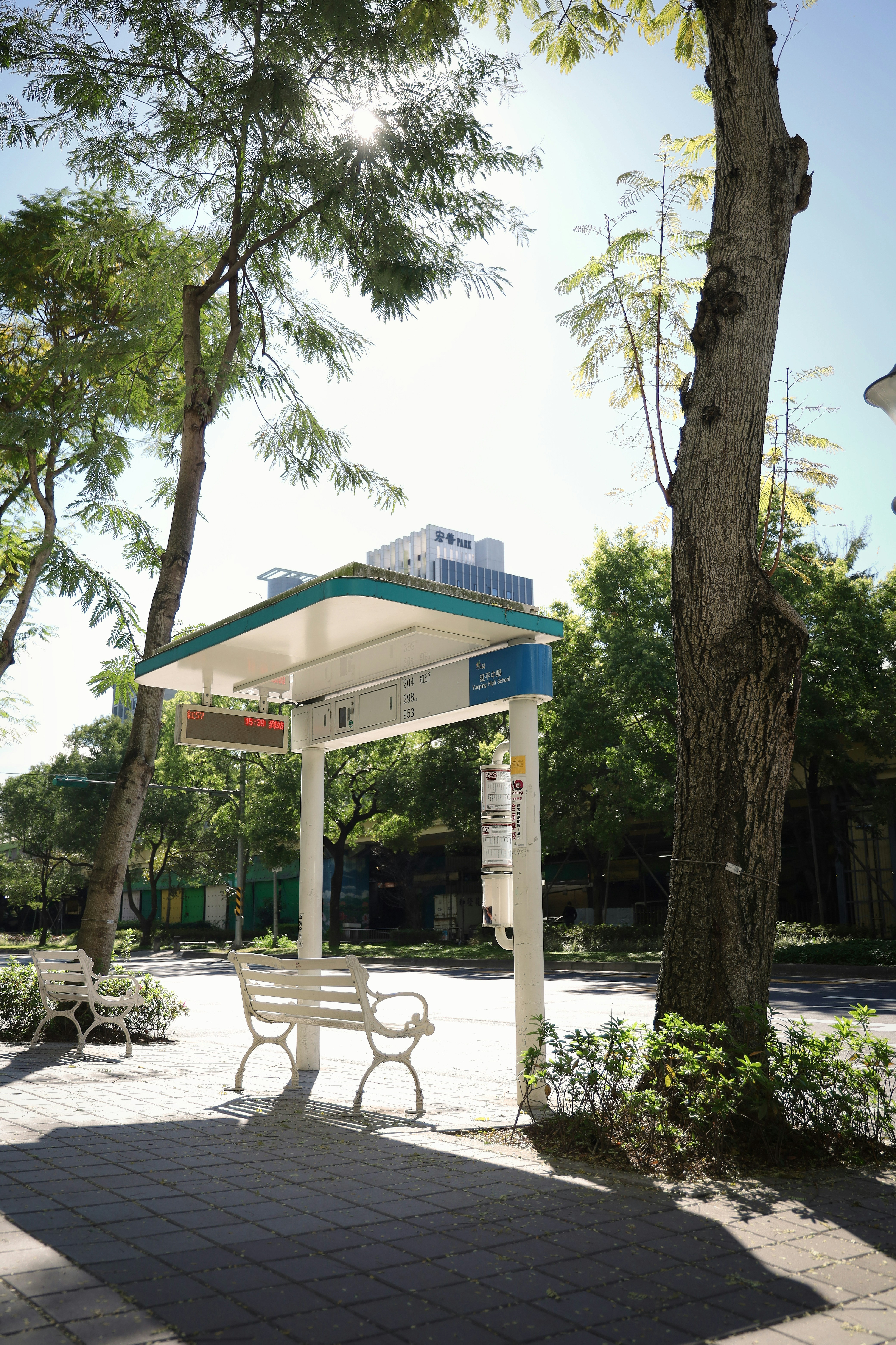 Sunlit Bus Stop Retreat Beneath Tall Park Trees