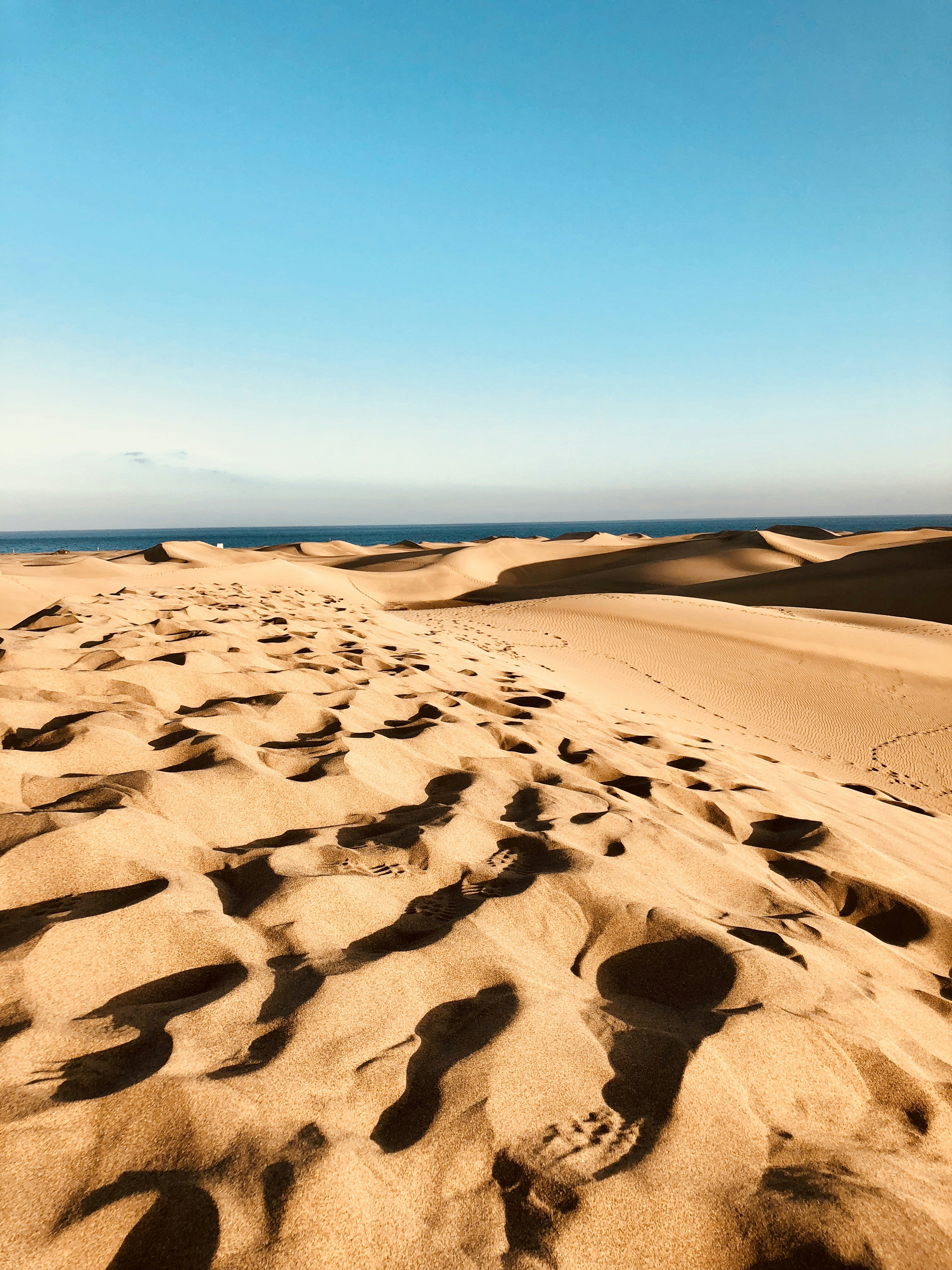 Golden sand dunes ripple under a clear blue sky, leading the eye towards the distant horizon where the ocean meets the land.