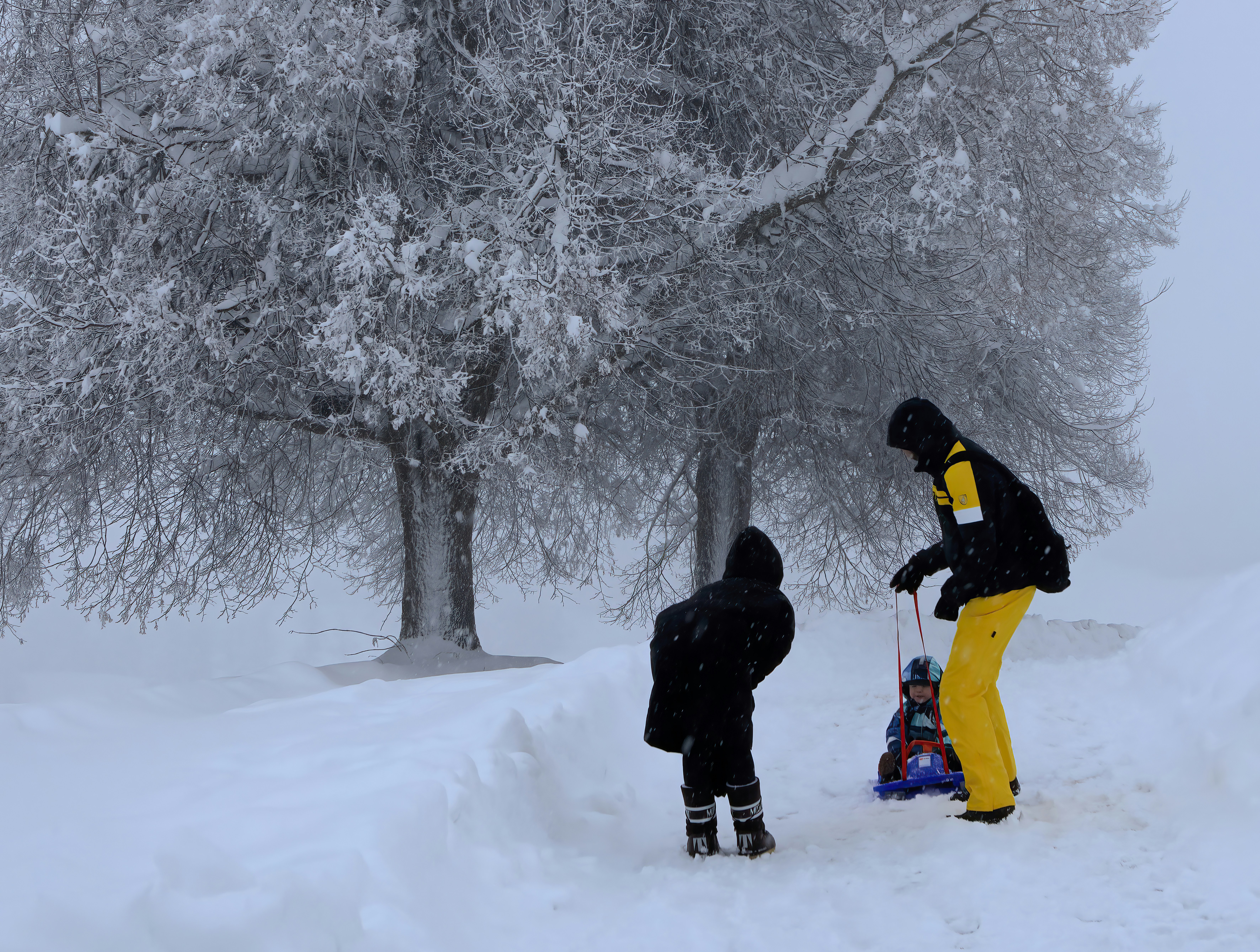 Snowbound Helper: A Guide and Child on the Quiet Path