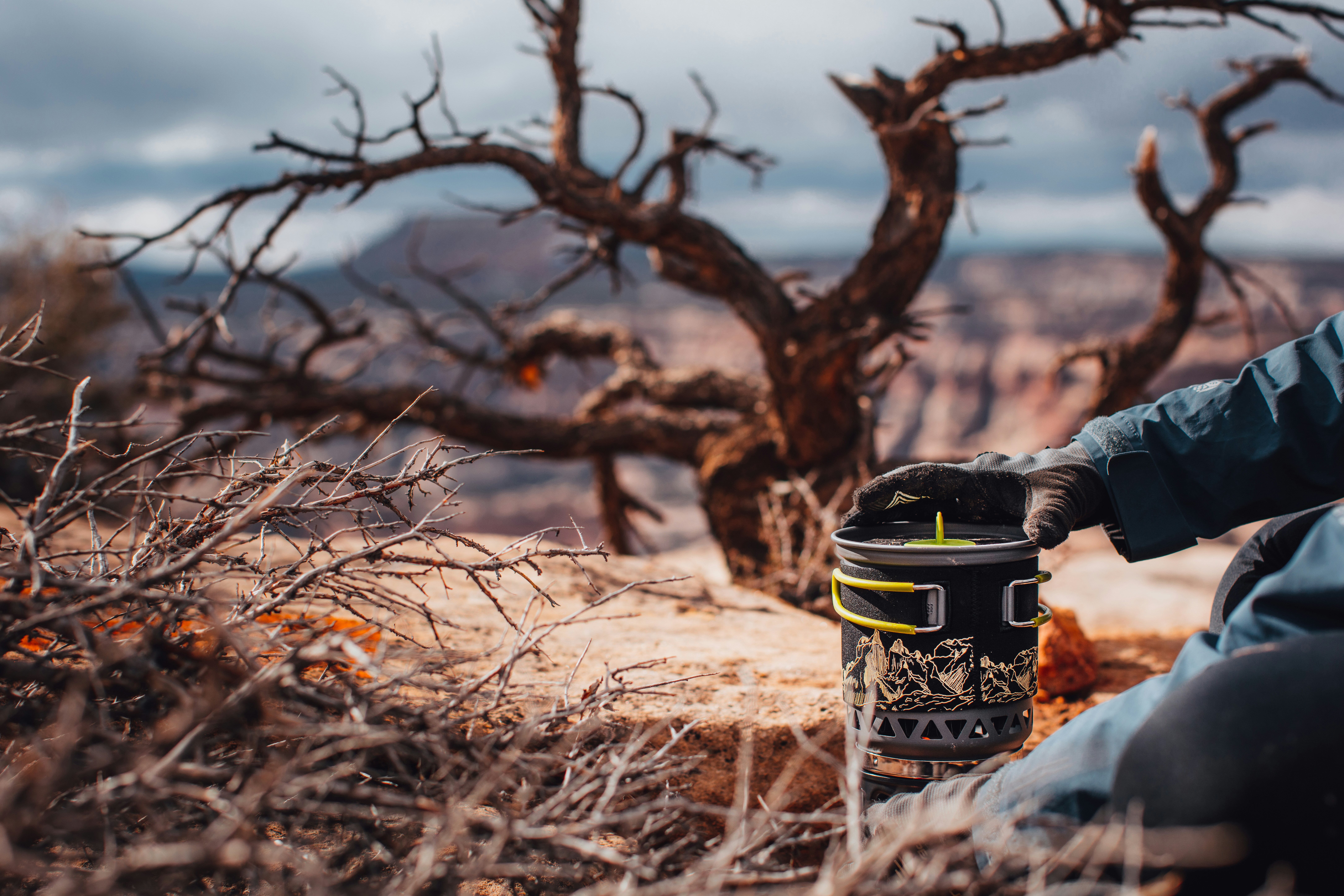 Thermos at the Edge: Warmth Amid Desert Winds and Gnarled Trees