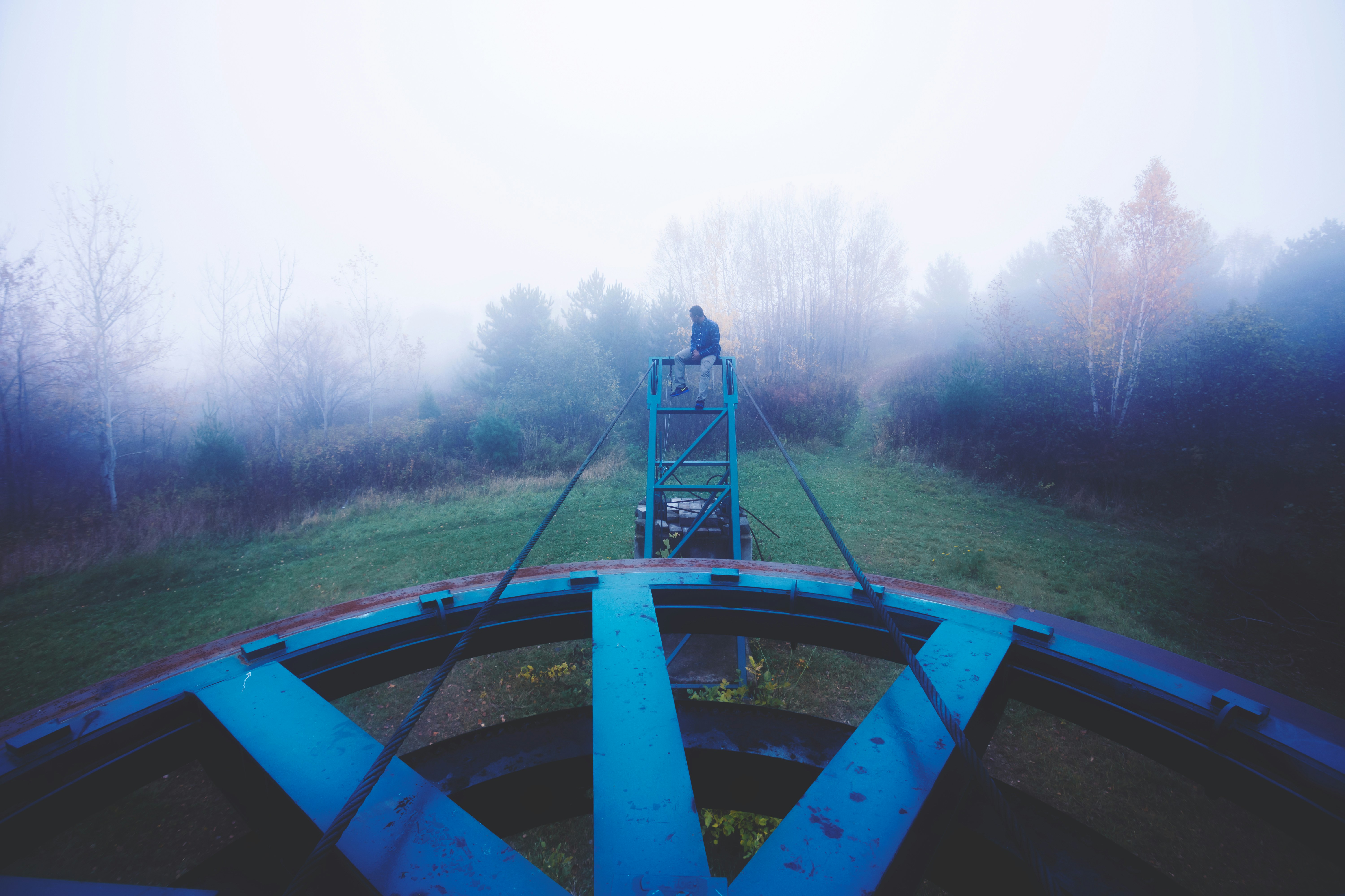 Tree Fog Pictures | Download Free Images on Unsplash