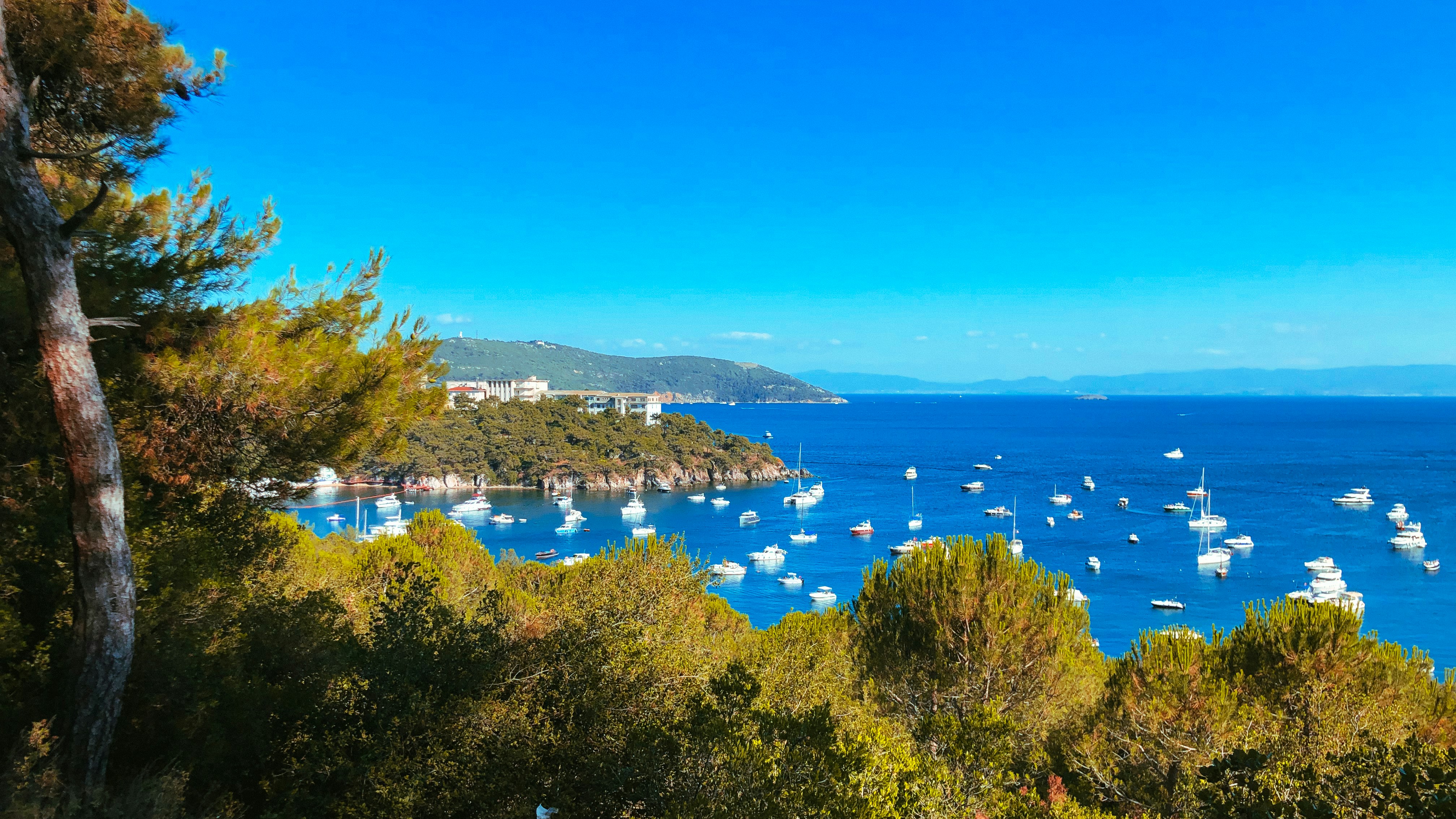 Photo by Youssef Mohamed with Apple iPhone X