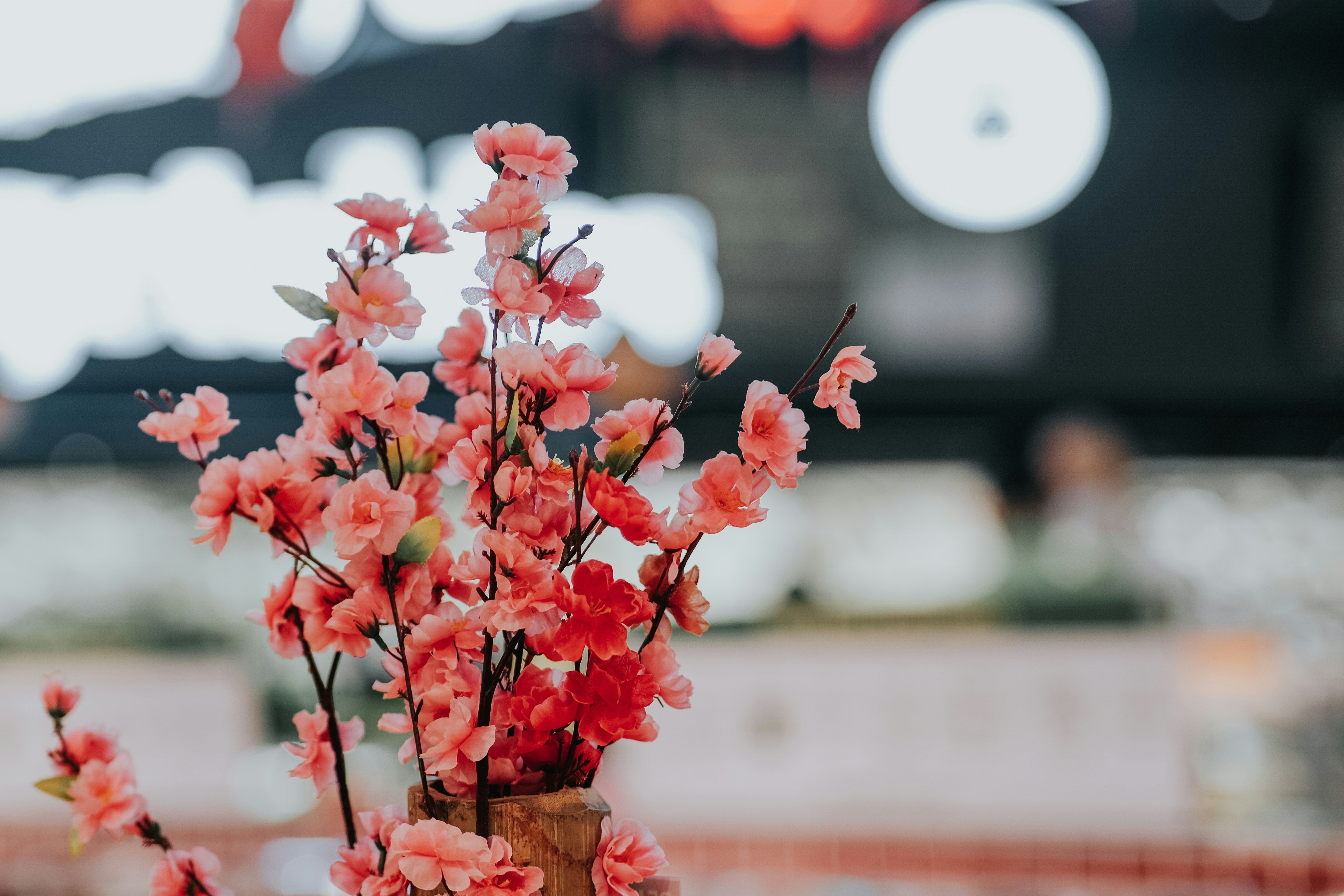 Pink Blossoms Framed by a Soft-Focused Courtyard Backdrop