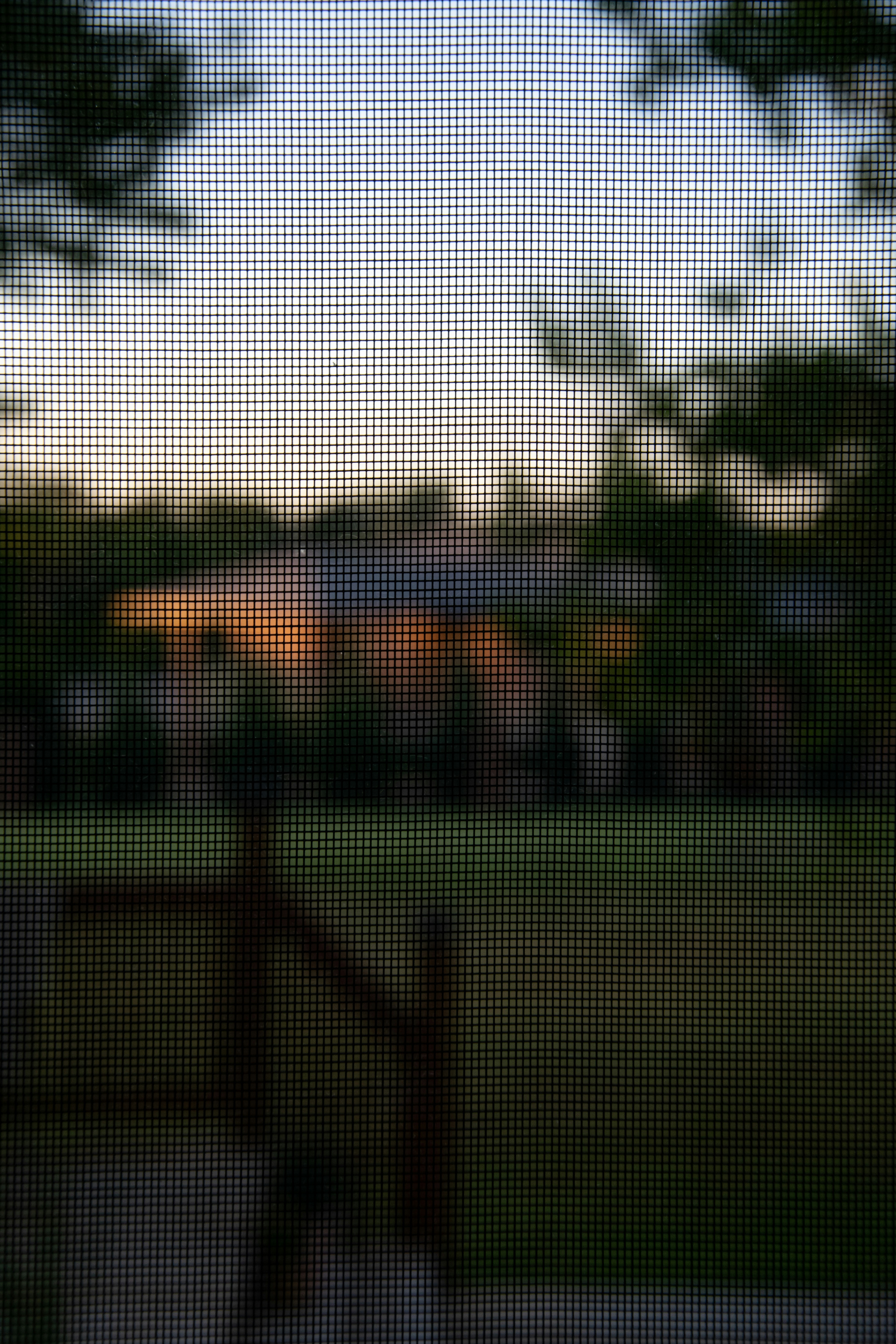 Blurred view of a house and greenery seen through a mesh screen at dusk.