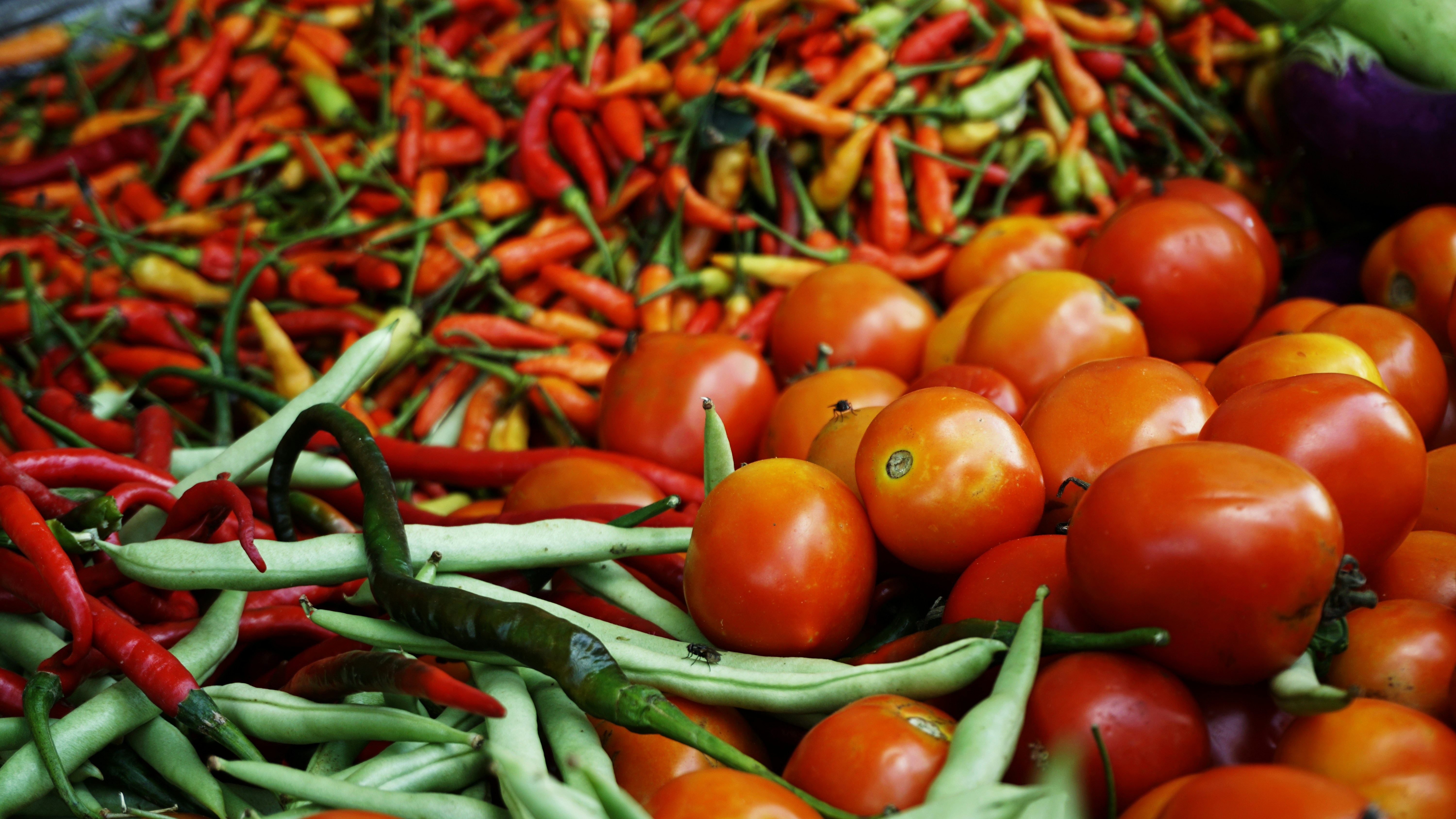 Vibrant Harvest: Market Medley