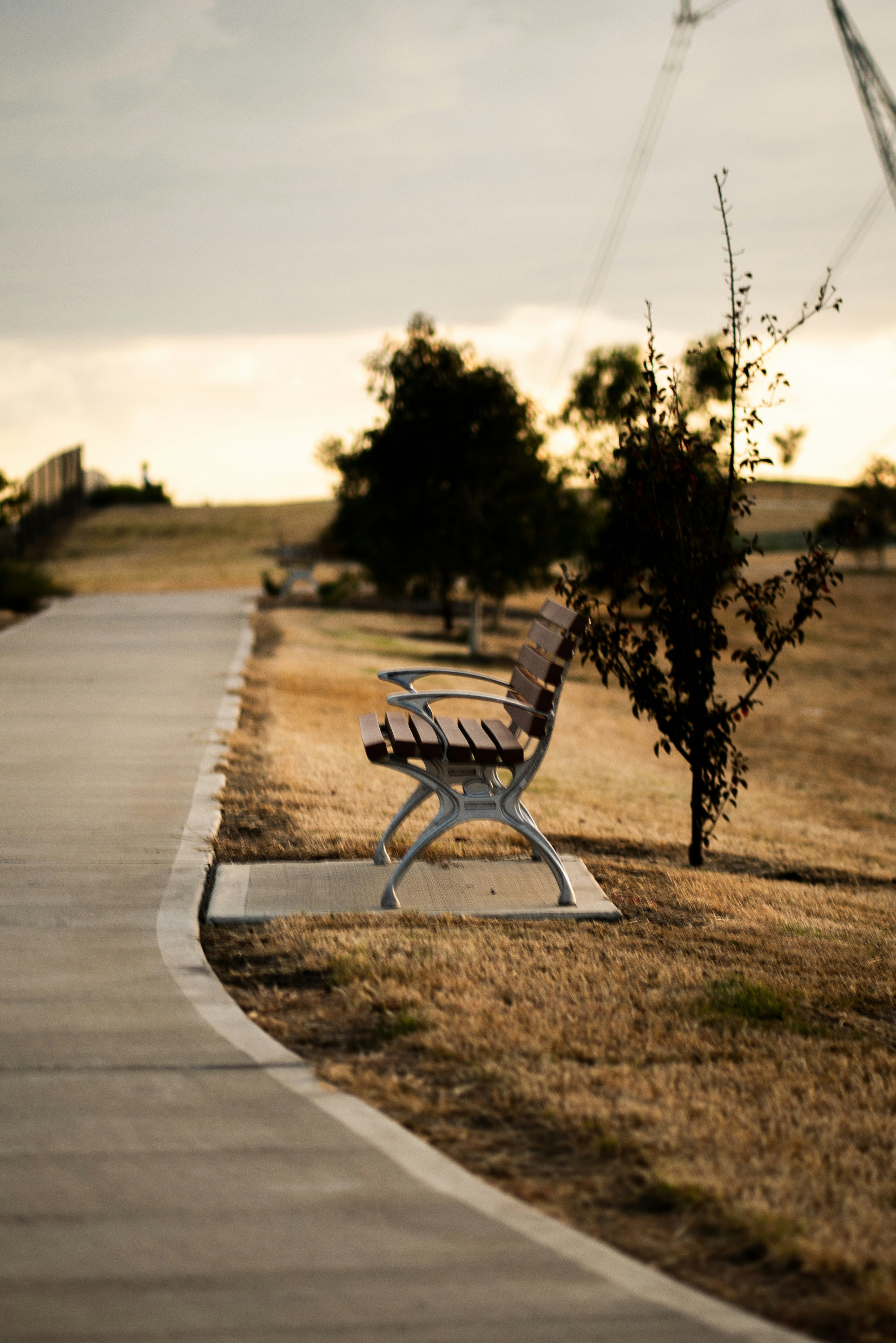 Golden-hour Bench: Quiet Park Path at Dusk
