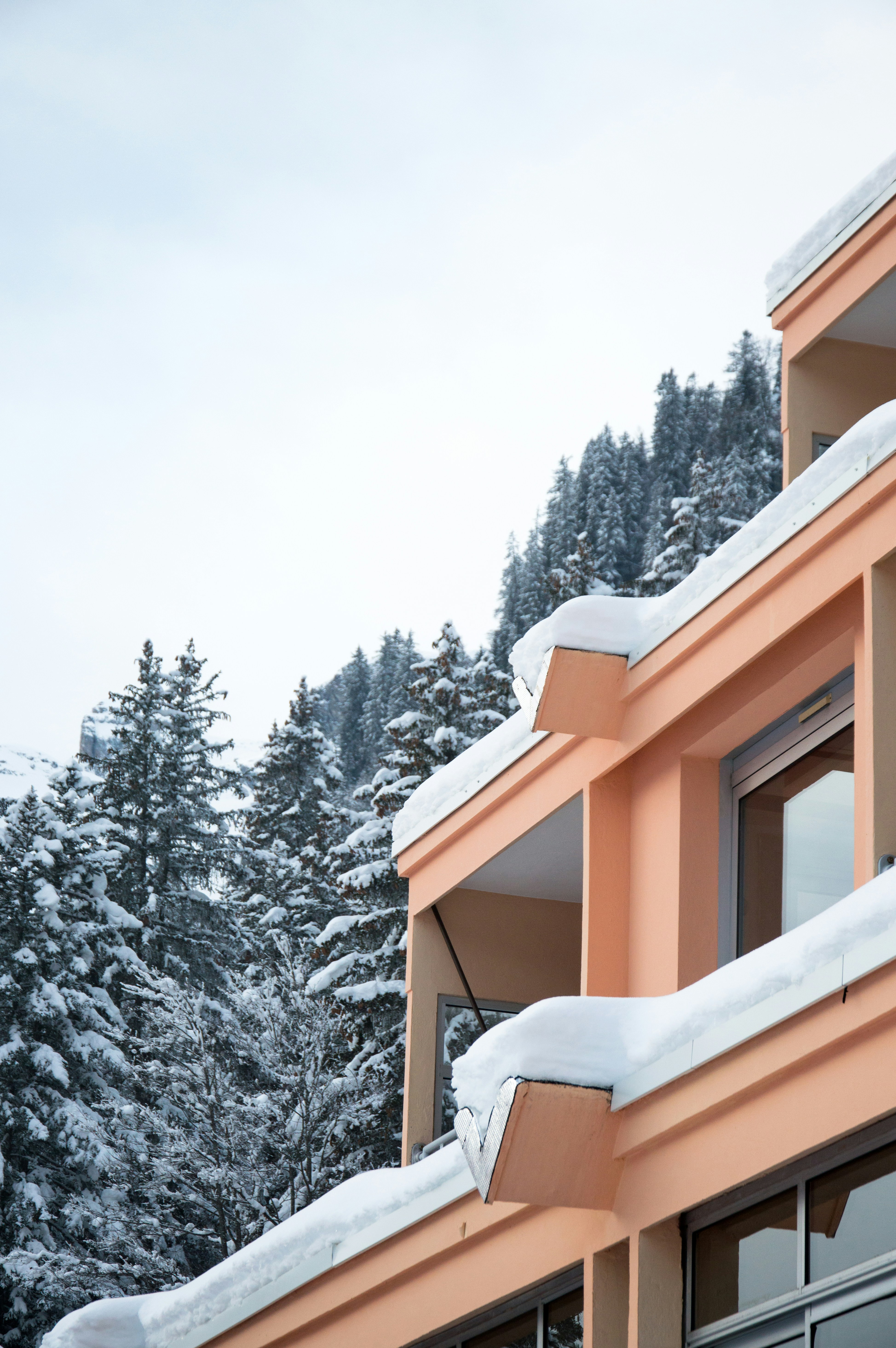Peach Balcony in a Winter Silence by Snowy Pines