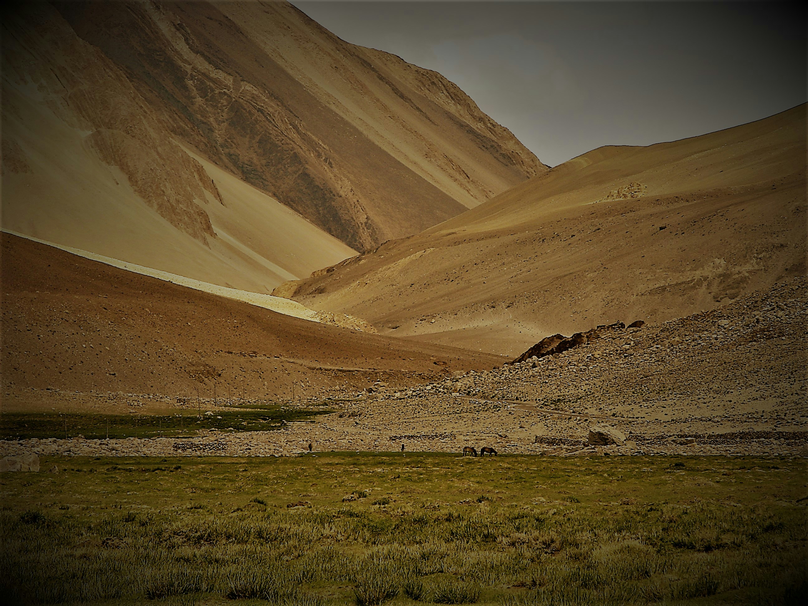 Pluto (@plutoflyer) | Comunidade de fotos da Unsplash