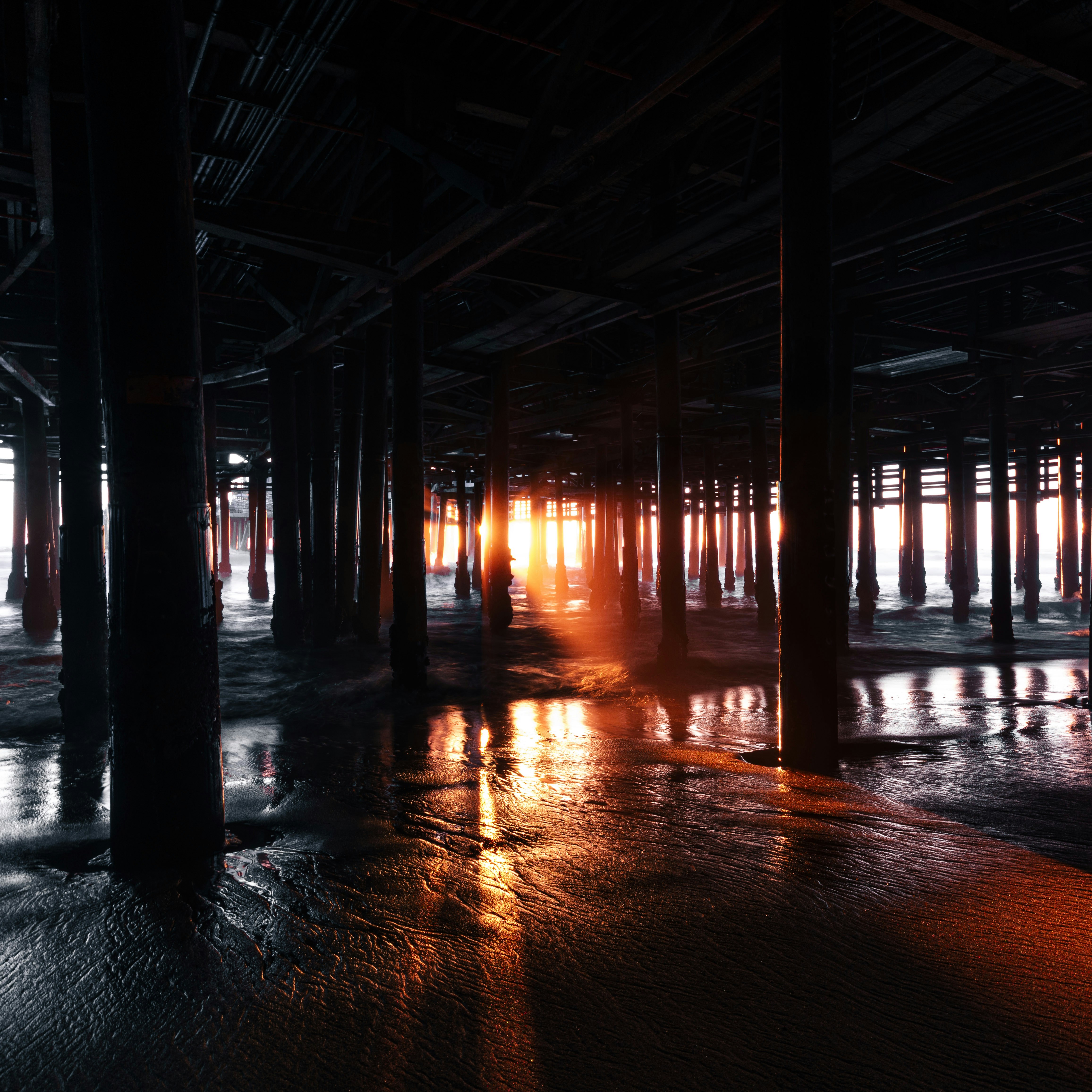 Daniel Olah (@danesduet) | Unsplash Photo Community