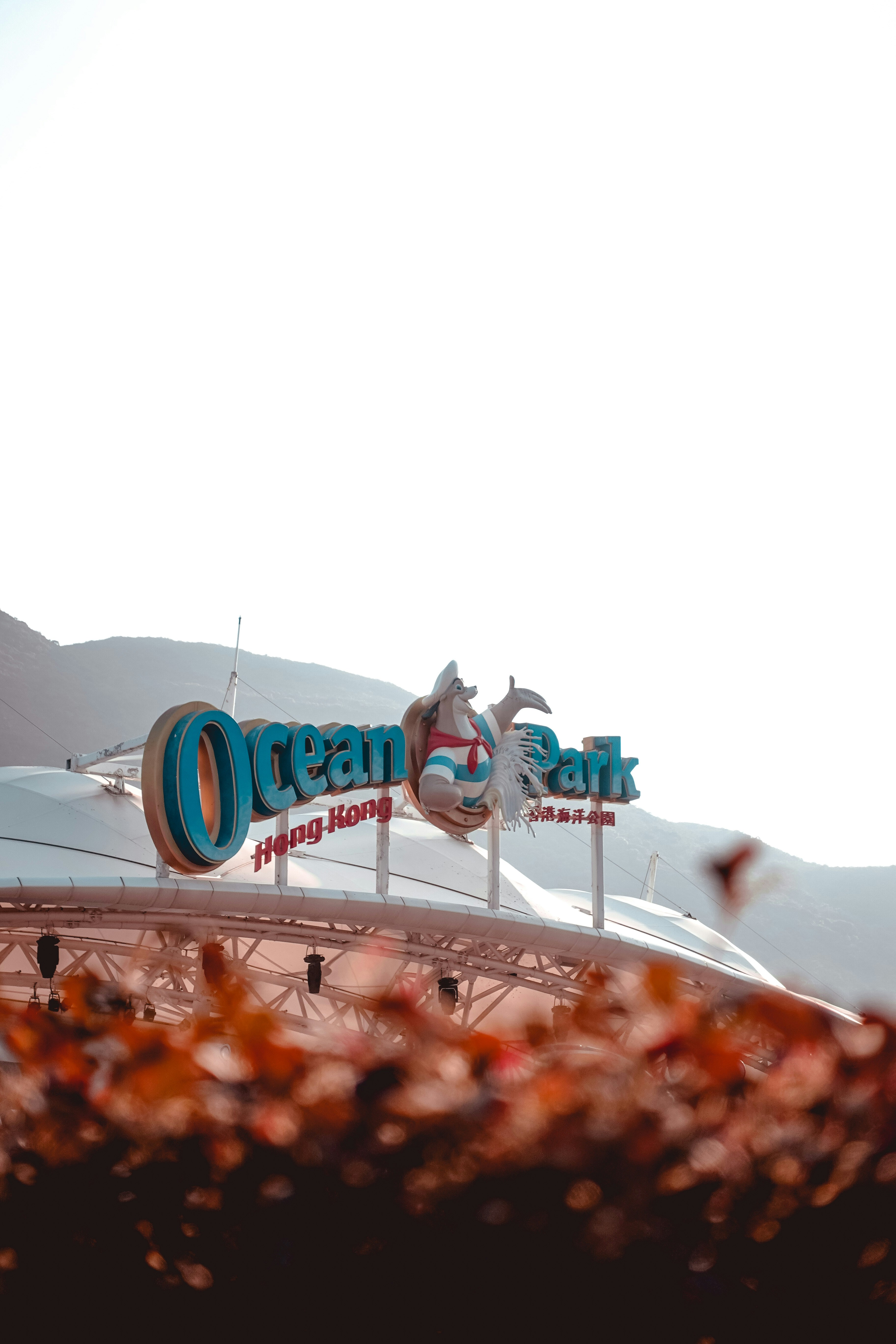 Ocean Park's vibrant entrance sign with a playful dolphin sculpture, set against a mountainous backdrop in Hong Kong.