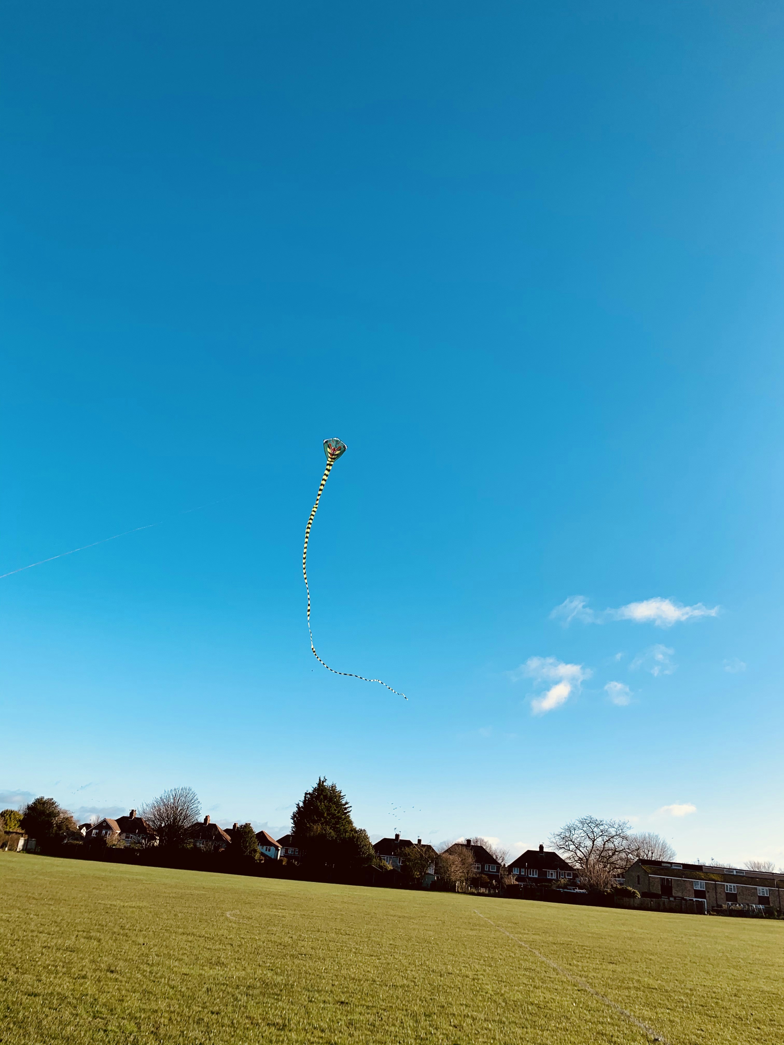 Beaded Arc Over a Quiet Suburban Field