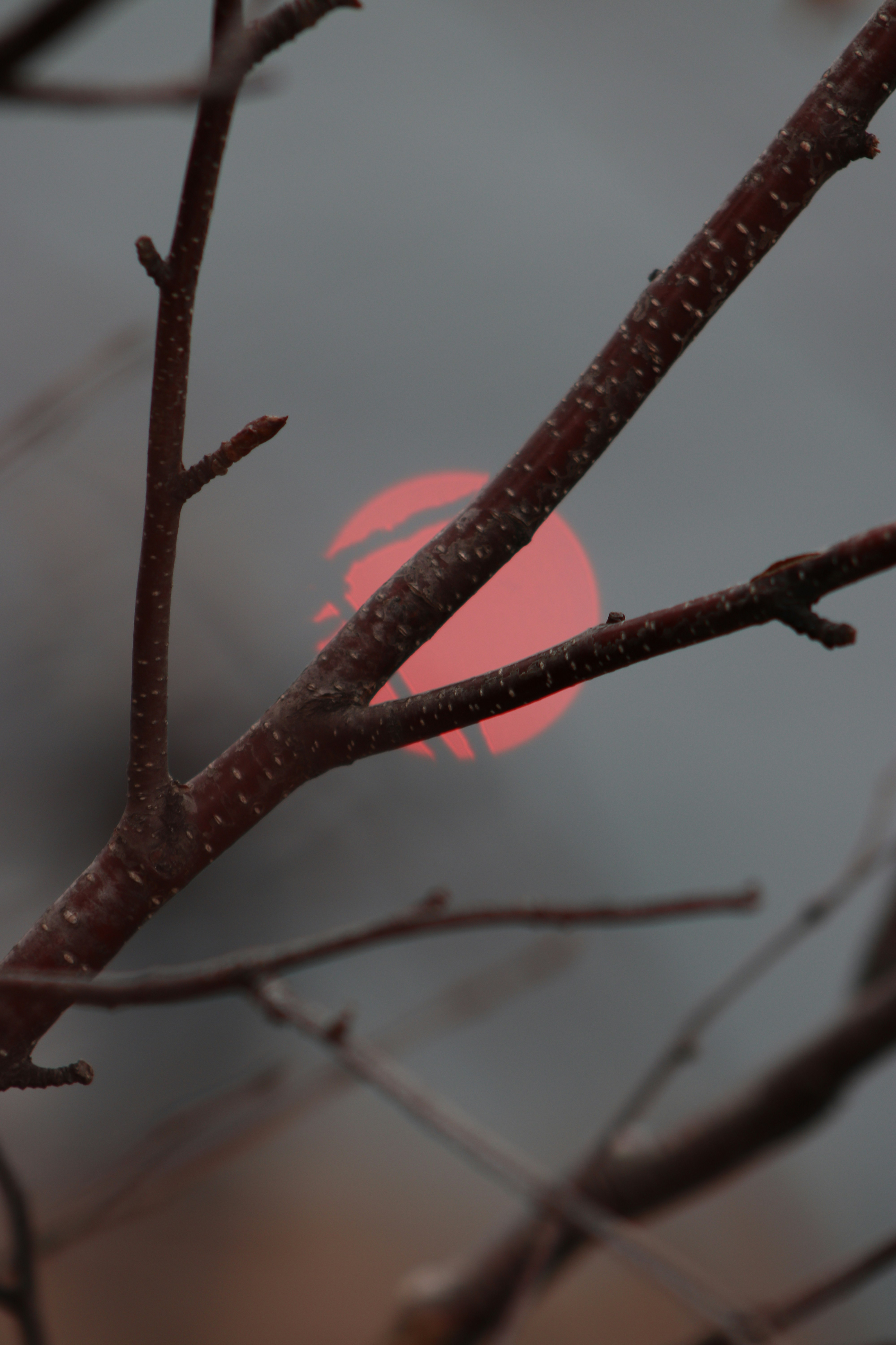 That’s not the sun, it’s a flare