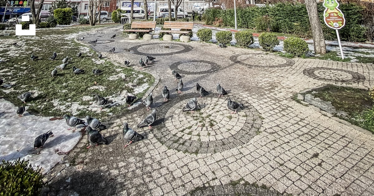 昼間、青空の下、茶色のコンクリートの建物の近くの裸の木の写真 Unsplashの無料青い写真