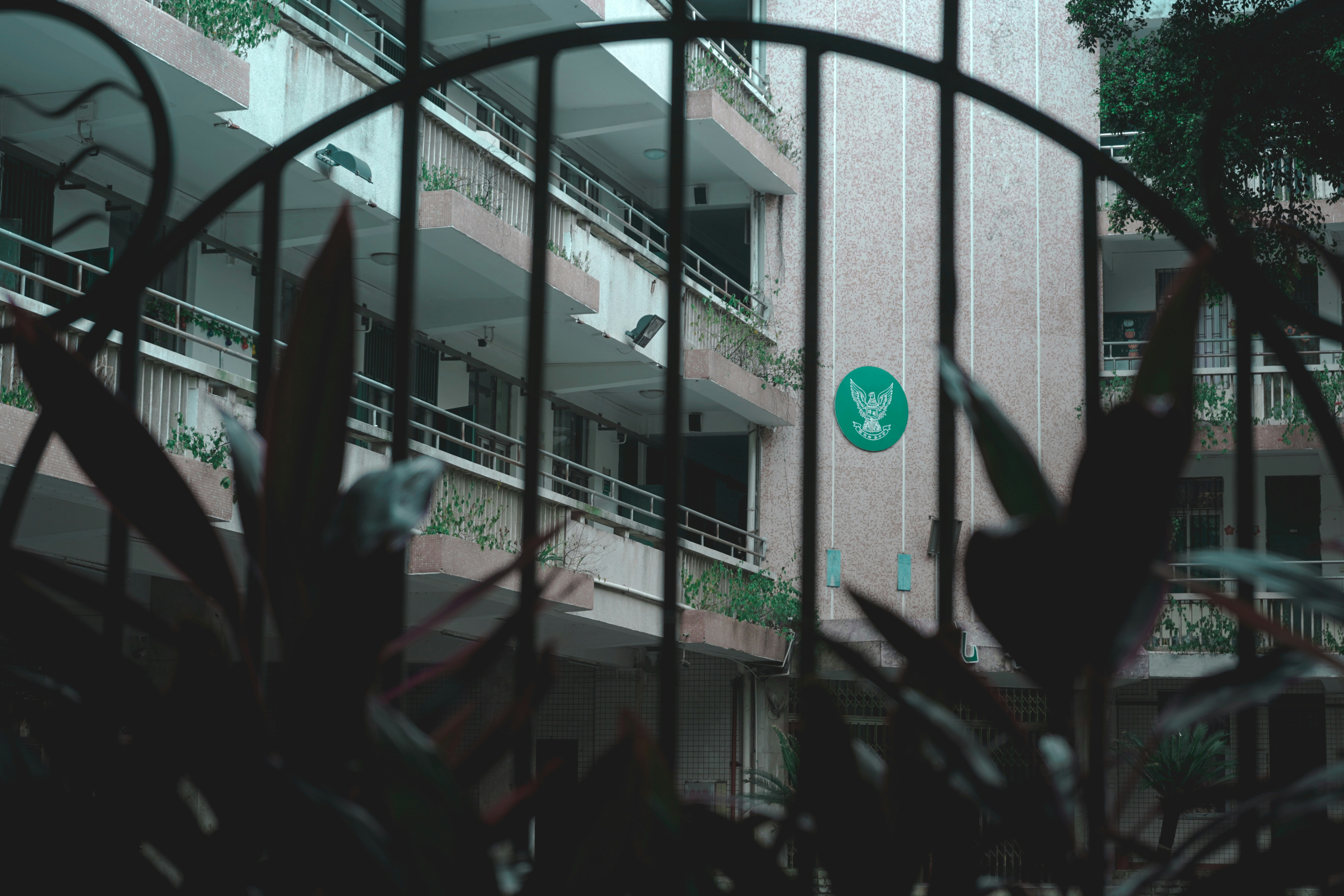 Gacha Life Hospital Background Pictures | Download Free Images on Unsplash
