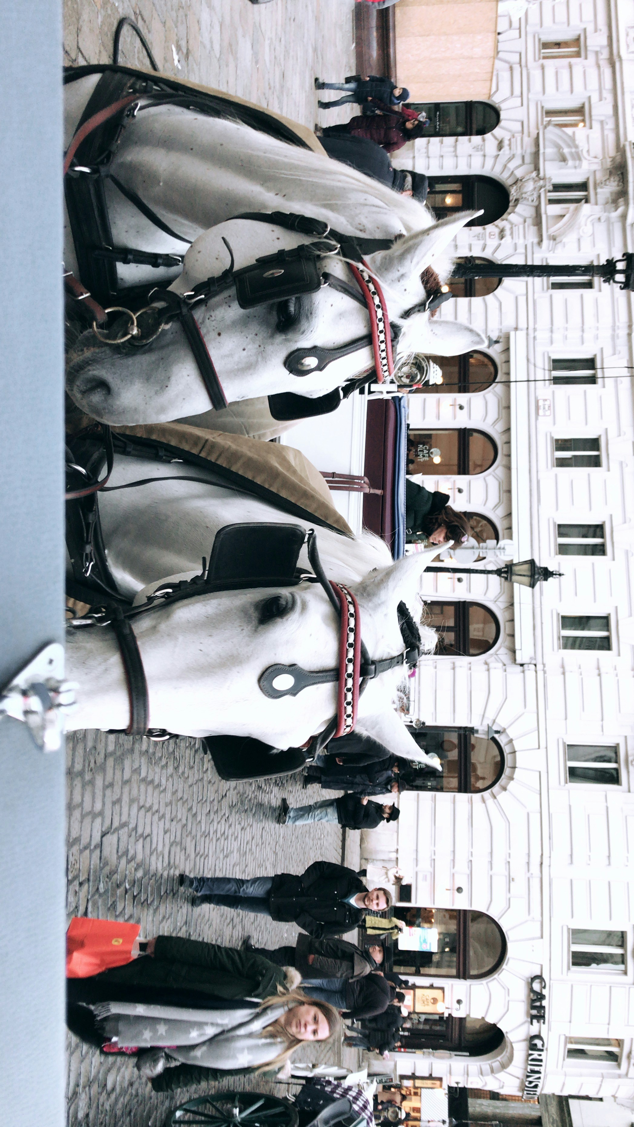 Laia Vidal (@laia_vidal) | Unsplash 사진 커뮤니티